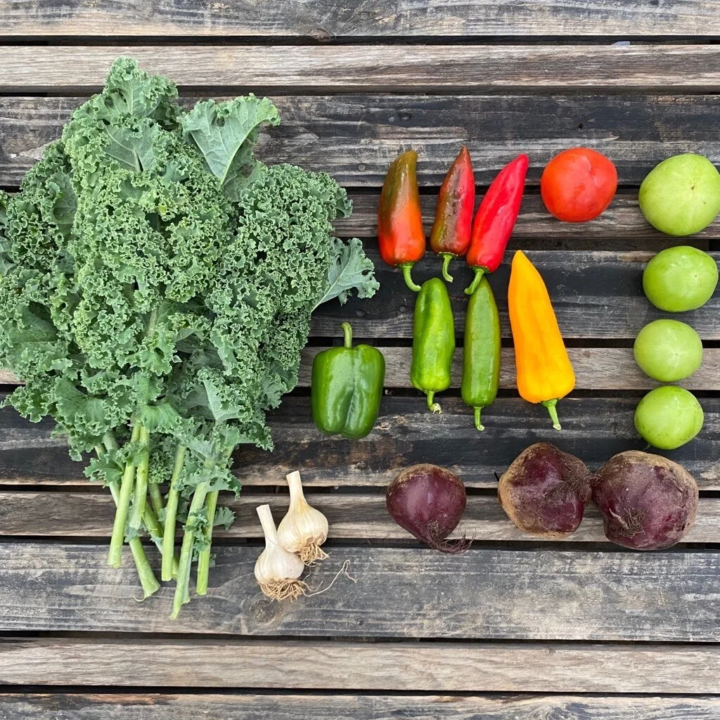 CSA Shares — Poughkeepsie Farm Project