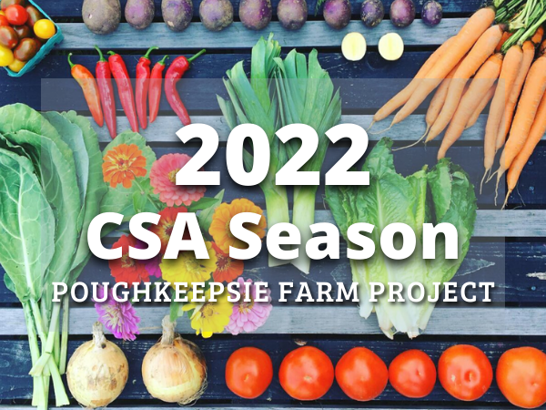 CSA Saturday Pick-up — Poughkeepsie Farm Project