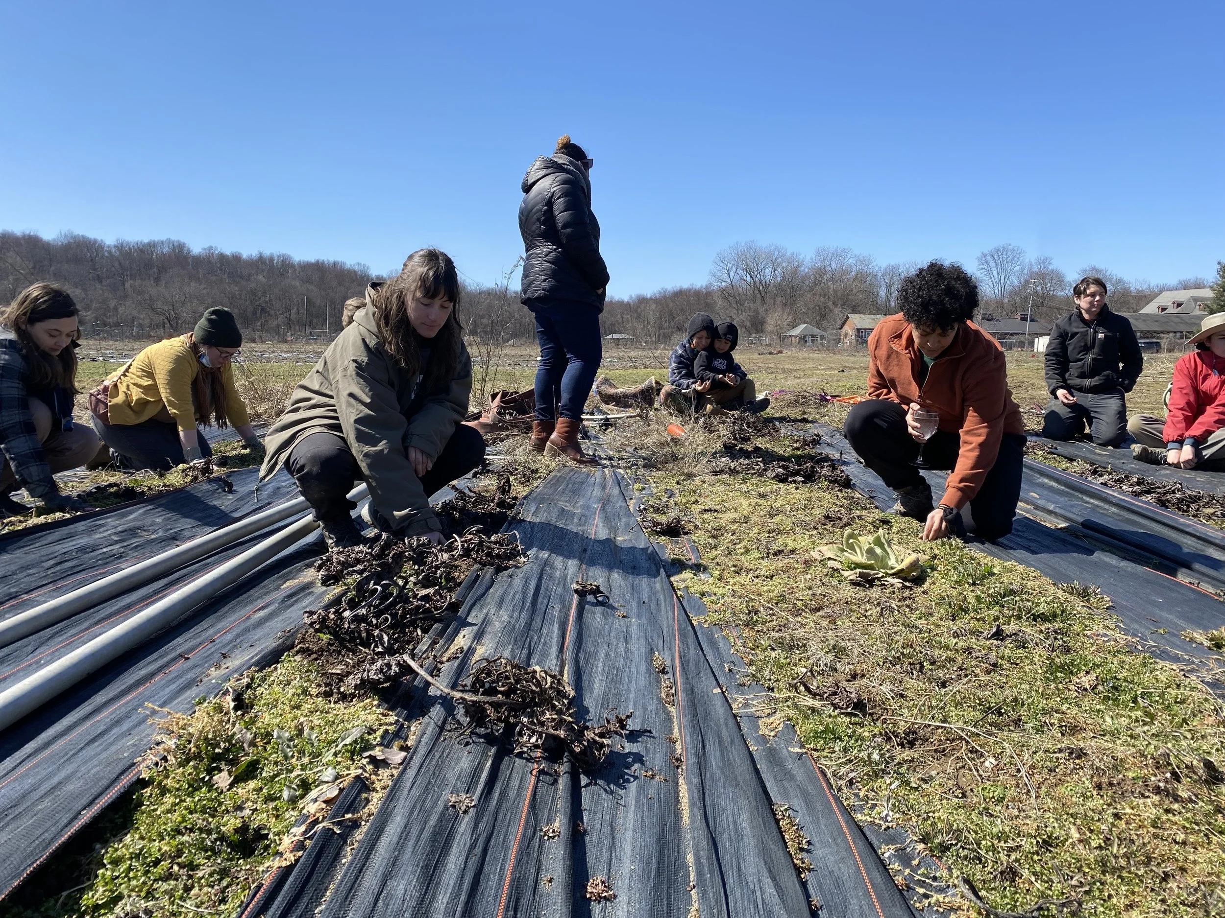 Shared Leadership at PFP! — Poughkeepsie Farm Project