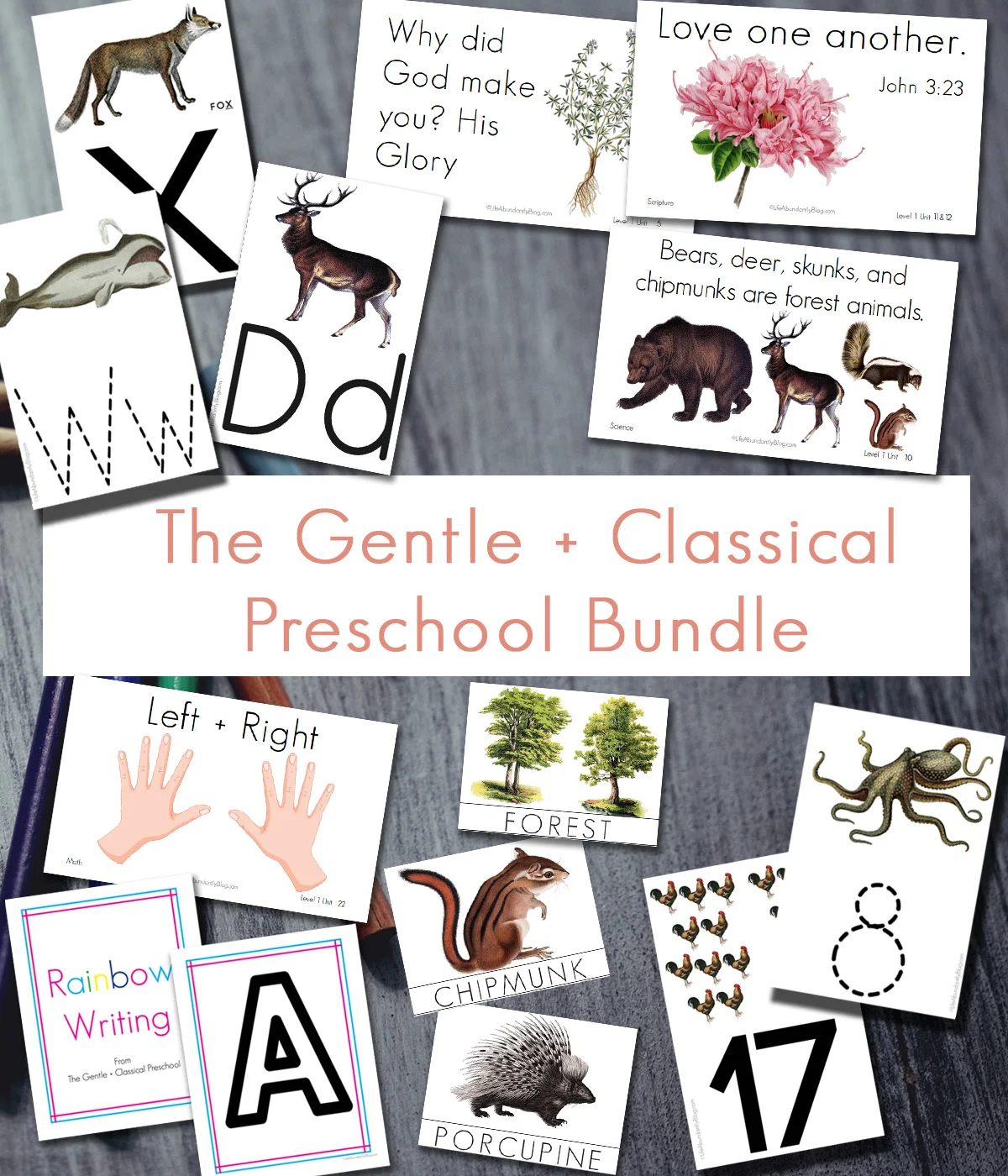 Gentle + Classical Press — Life, Abundantly
