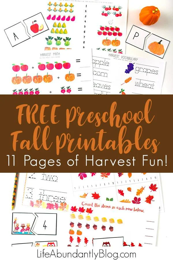 How to Use a Preschool Morning Binder (PLUS all you need to get started ...