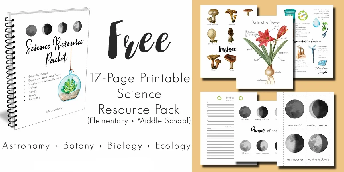 How to Use a Preschool Morning Binder (PLUS all you need to get started ...