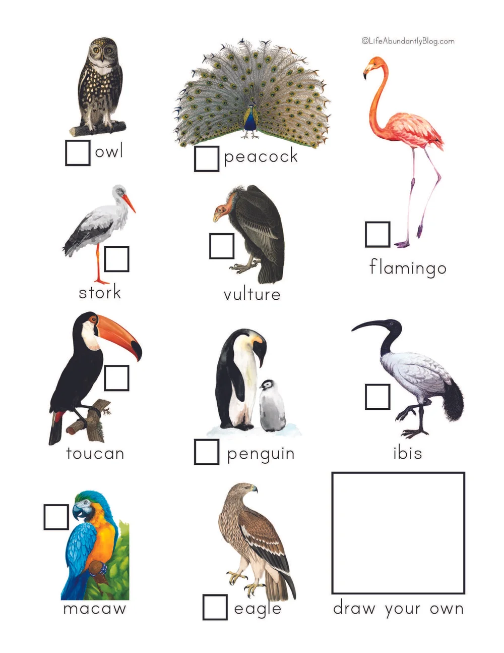 Headed to the Zoo anytime soon? (FREEBIE!) — Life, Abundantly