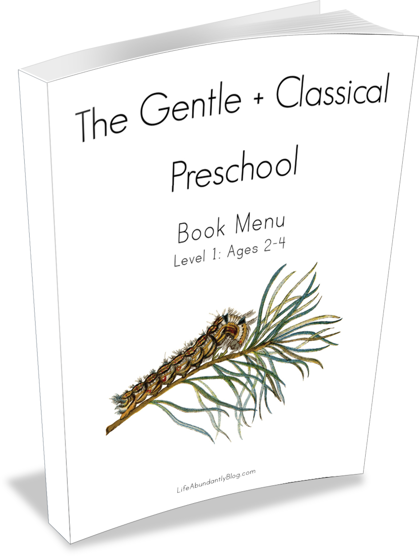 Our Curriculum Choices (10th, 7th, K4) — Life, Abundantly