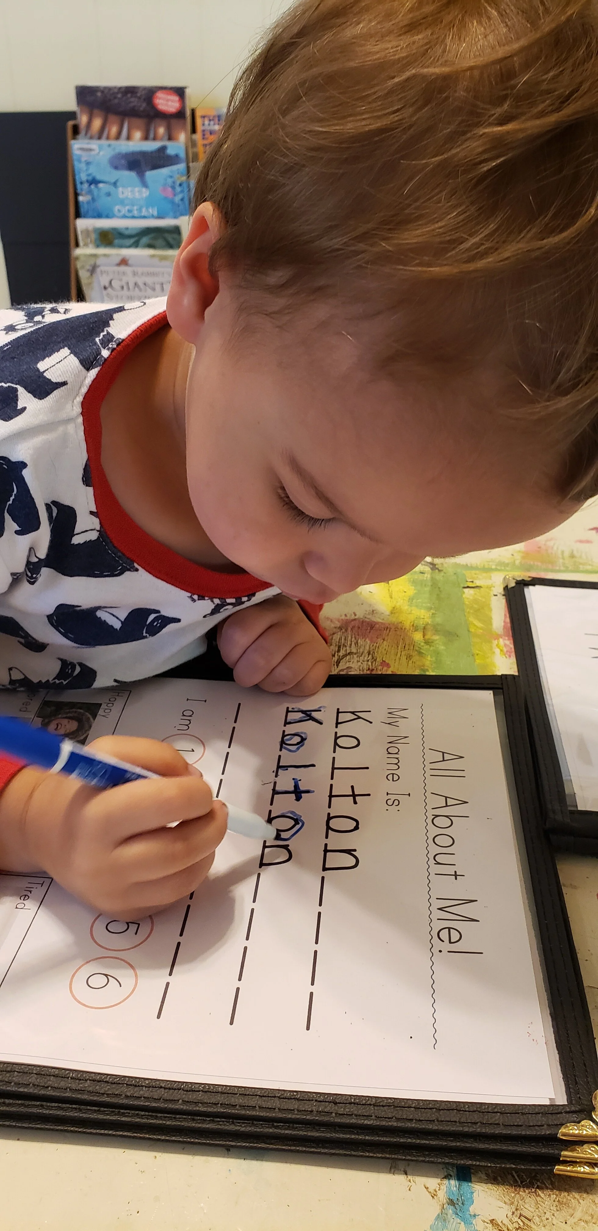 How to Use a Preschool Morning Binder (PLUS all you need to get started ...