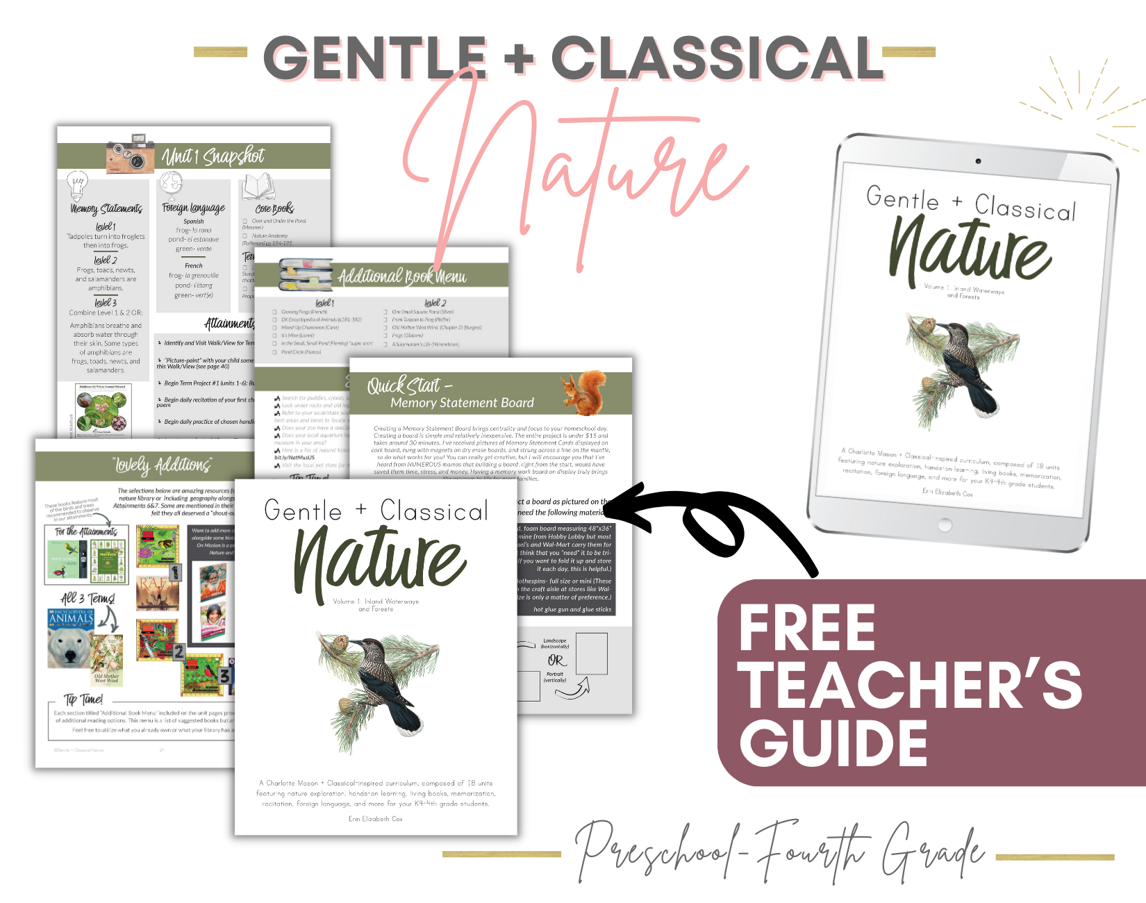 FREE Counting Bird Activity Set — Life, Abundantly