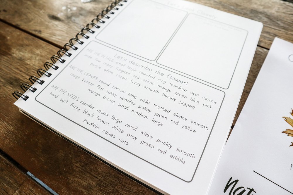 3 Easy Ways to Implement Nature Study in Your Homeschool Curriculum ...