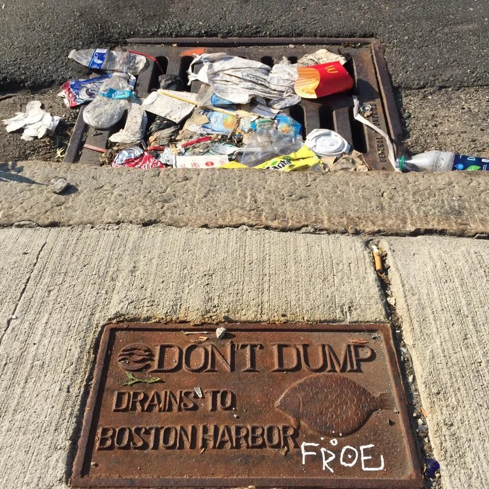 Clean Up Boston — Lusterity