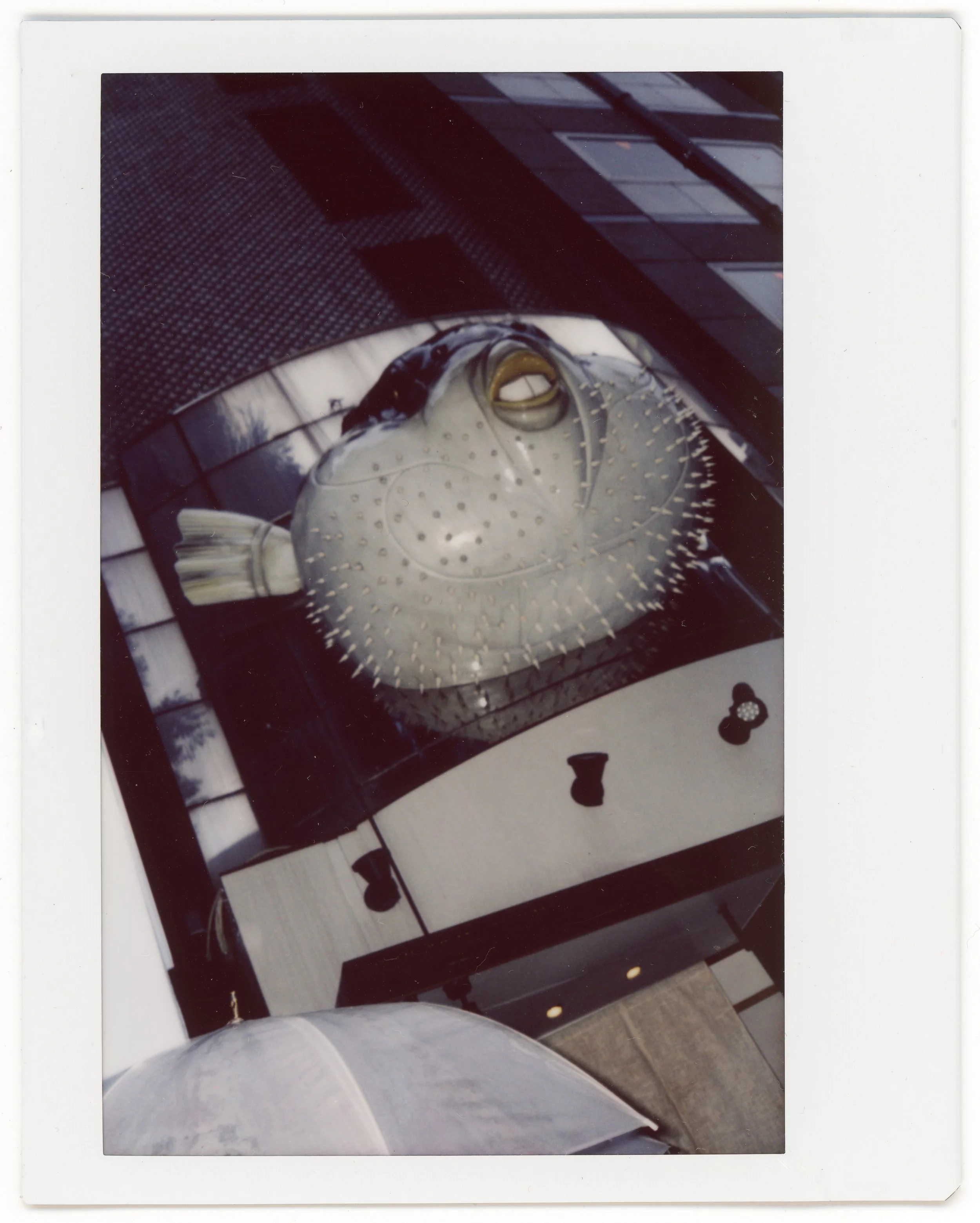 Tokyo Polaroids — Jacob Hodgkinson