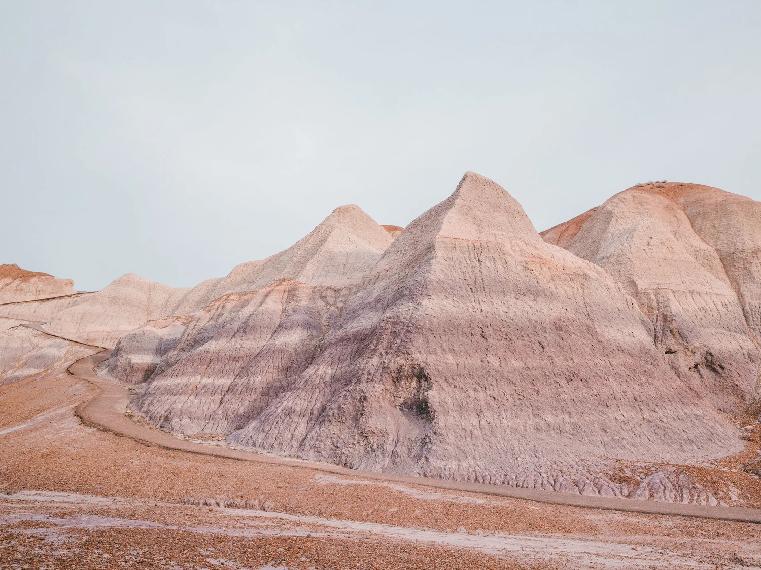 LANDSCAPES — JARED CHAMBERS