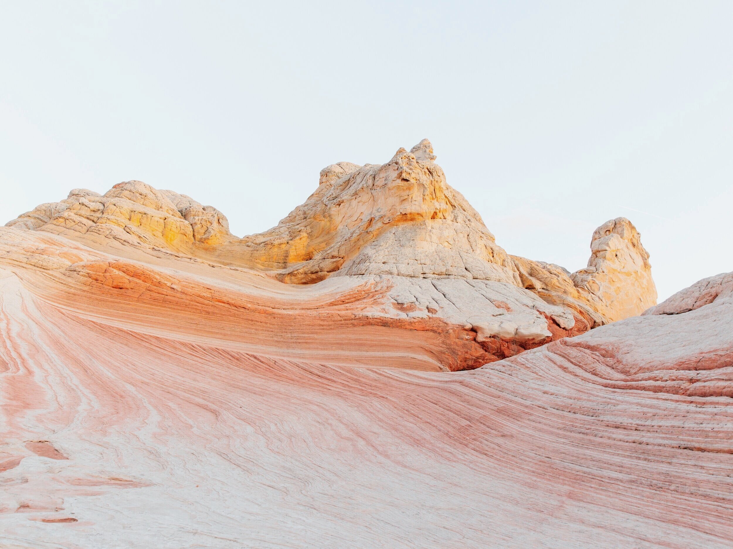 LANDSCAPES — JARED CHAMBERS