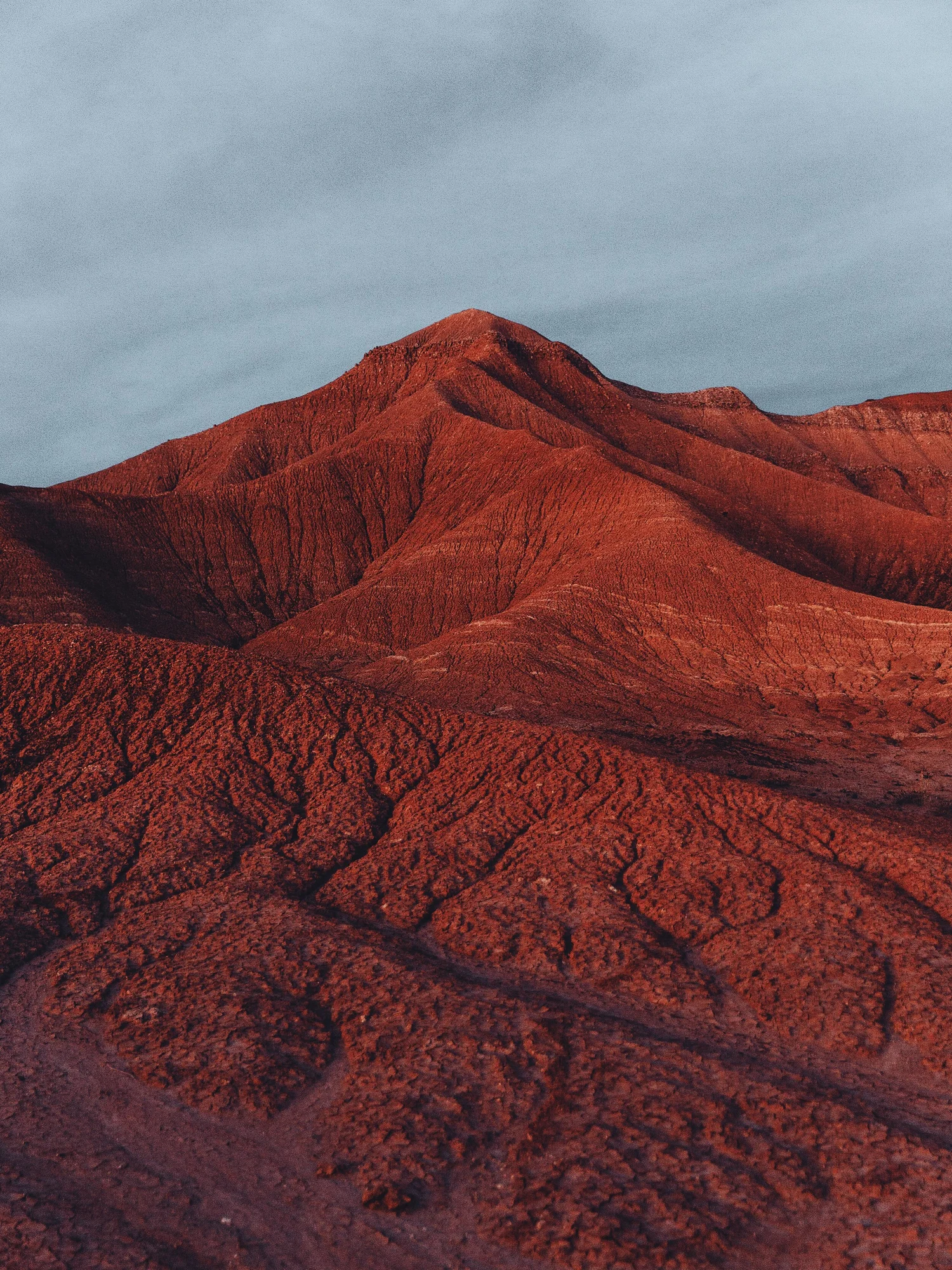 LANDSCAPES — JARED CHAMBERS
