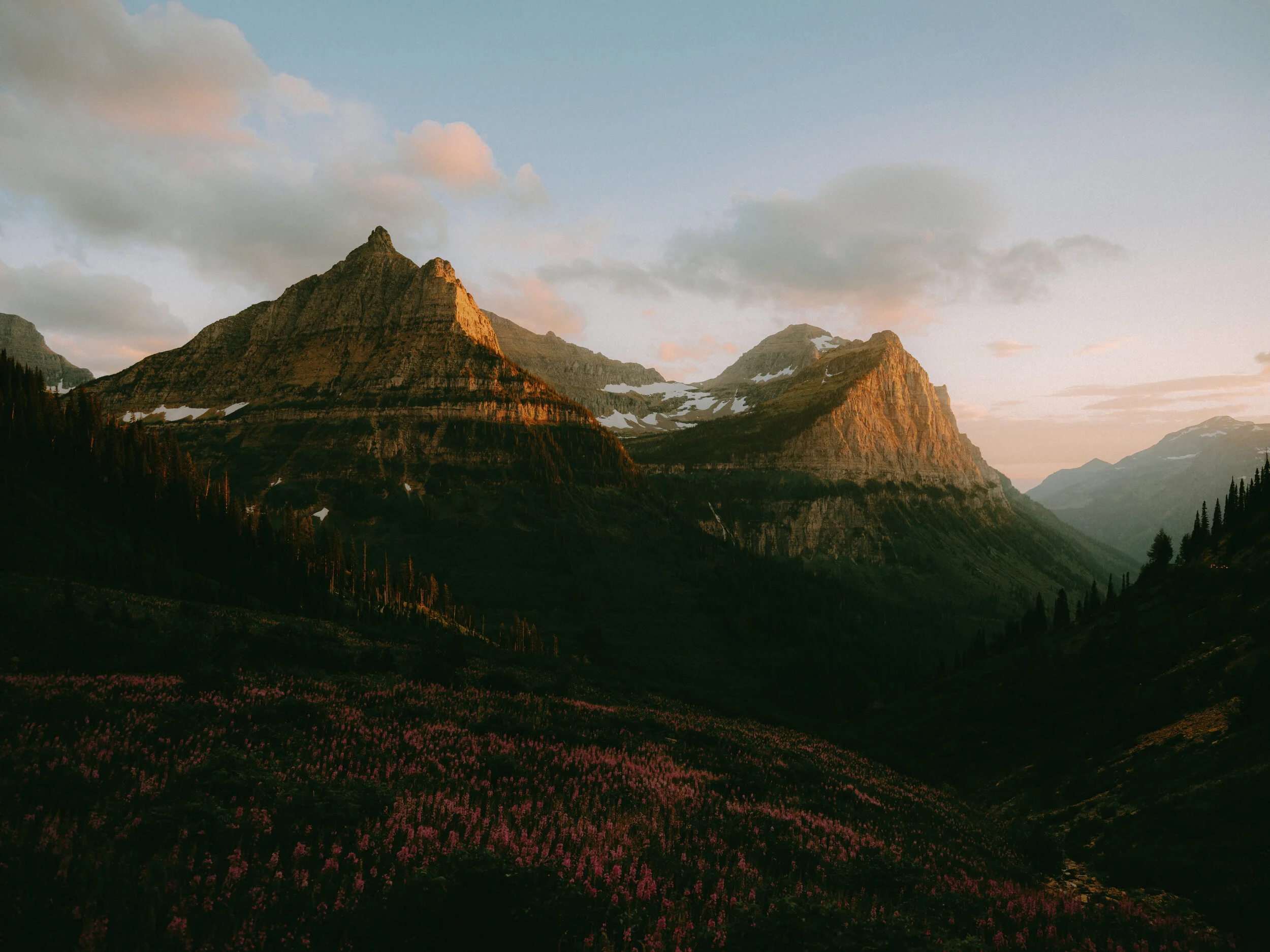 LANDSCAPES — JARED CHAMBERS