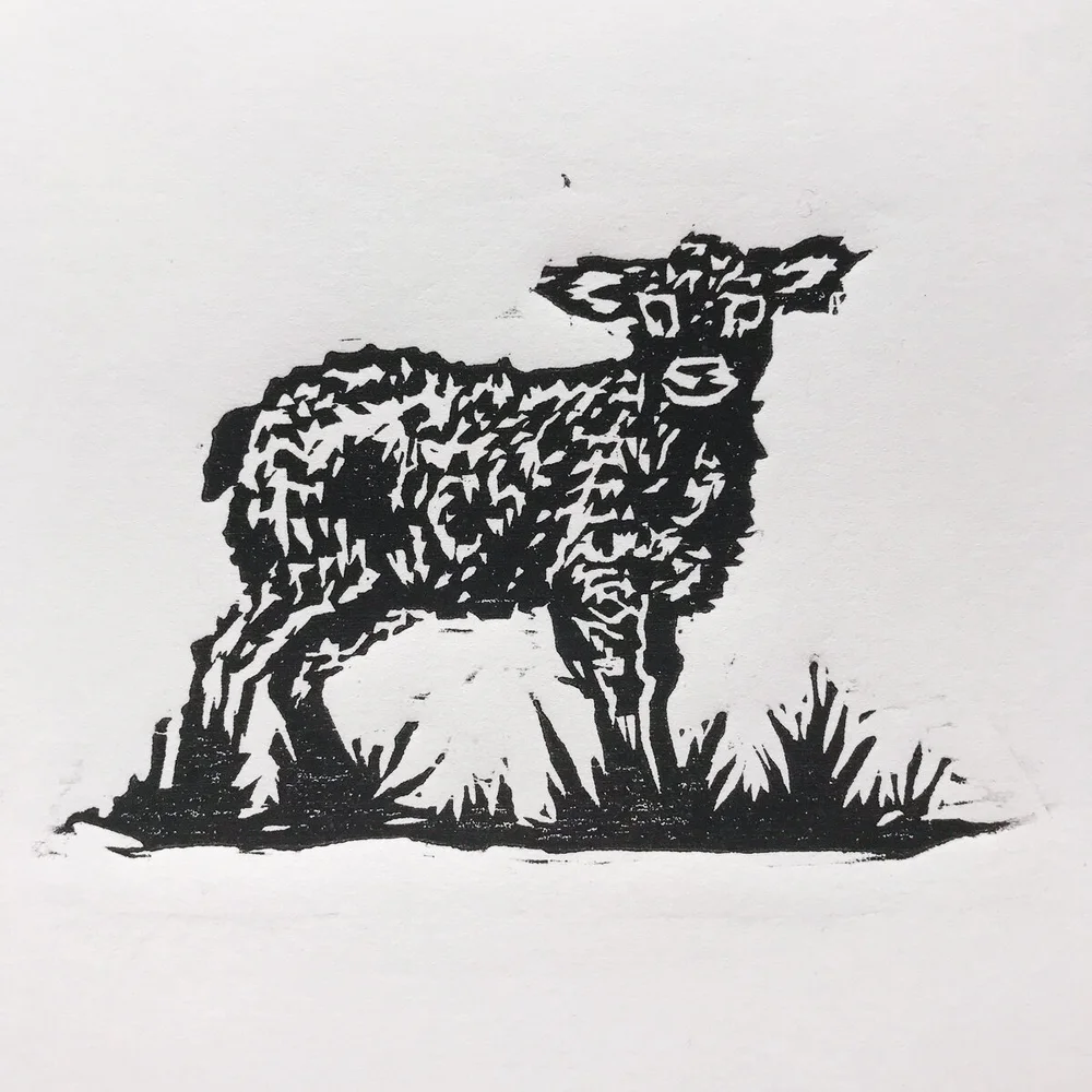 Black Sheep Drawing