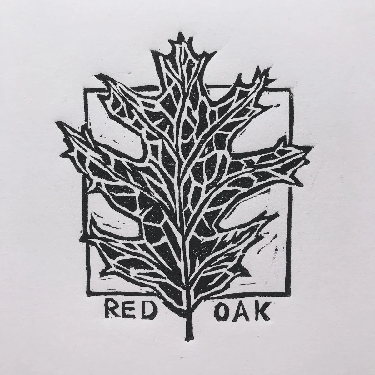Red Oak — Stanley Leonard Studio: Woodcut Relief Prints