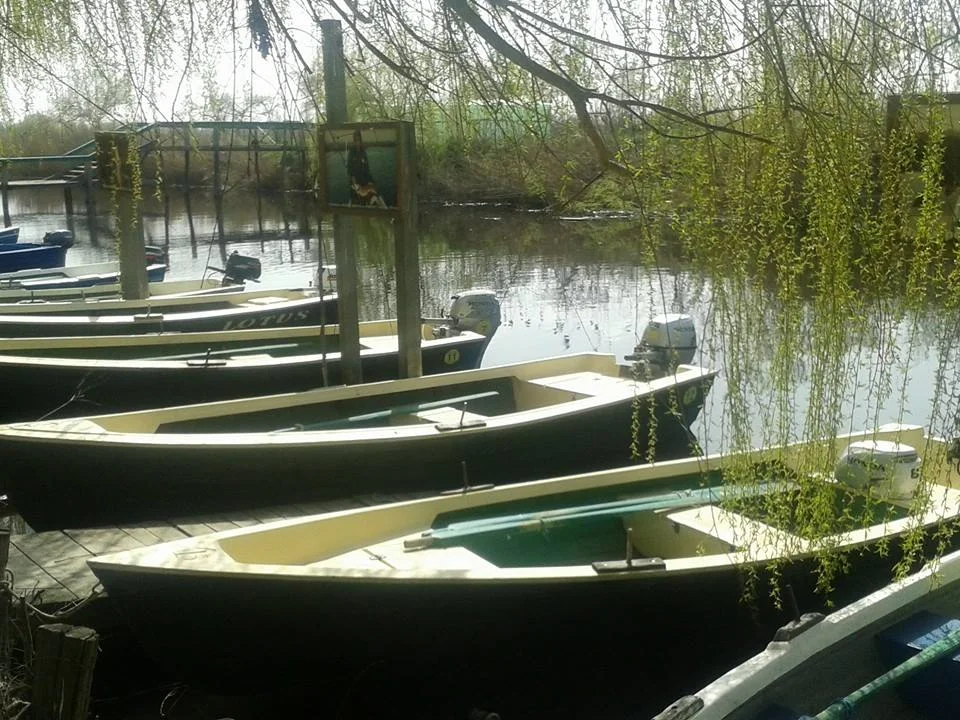 Concediu, sejur, excursii, plimbari cu barca, pescuit in Delta Dunarii ...