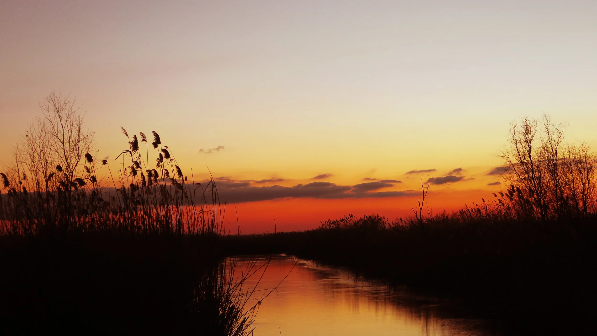 Accommodation Danube Delta Murighiol and Dunavat — Pensiunea Delta ...
