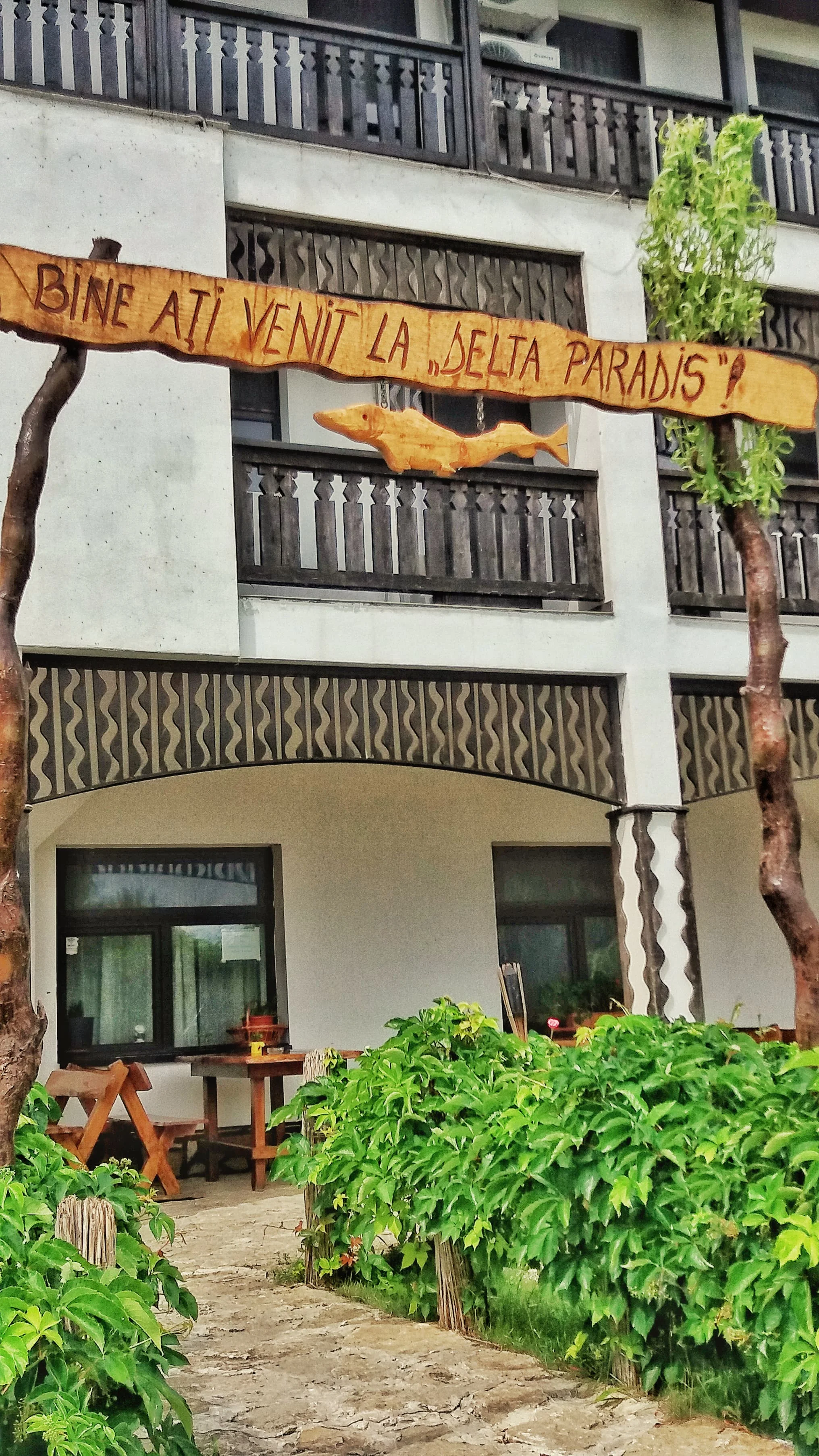 Cazare in Delta Dunarii Murighiol. Pescuit sportiv, sejururi, excursii ...