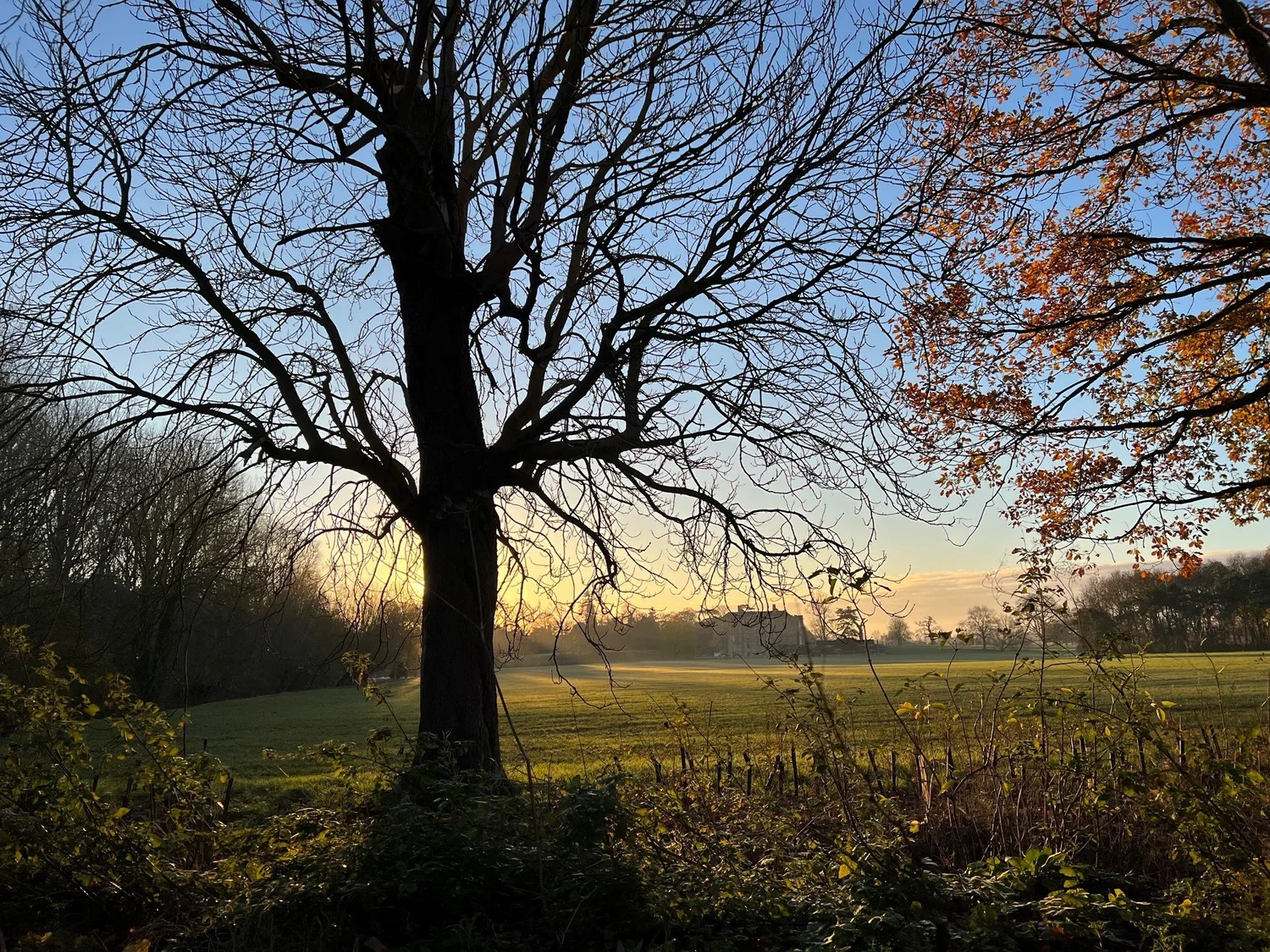 Woodlands & Forestry — Alscot - An Award-Winning Estate