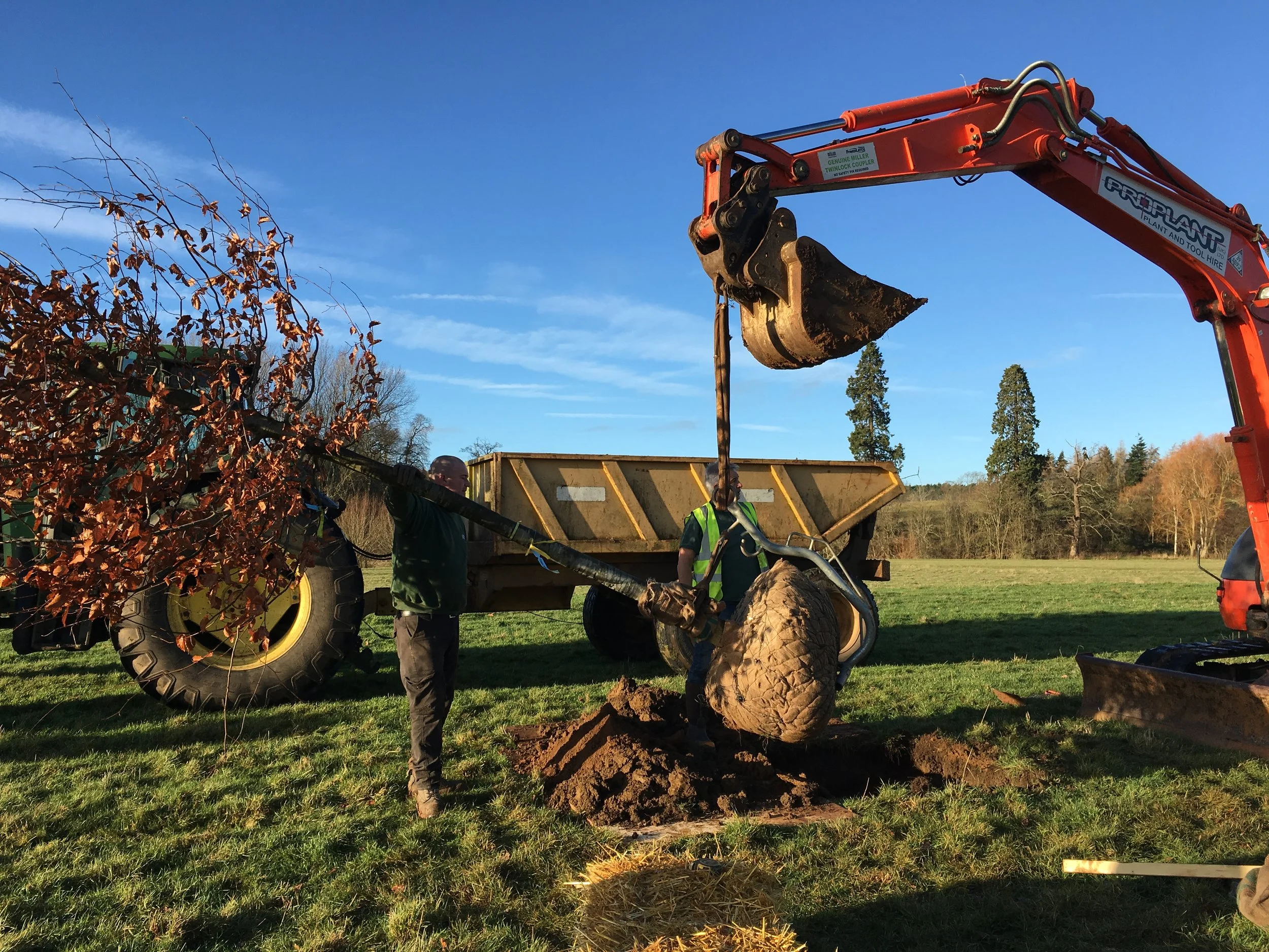 Woodlands & Forestry — Alscot - An Award-Winning Estate