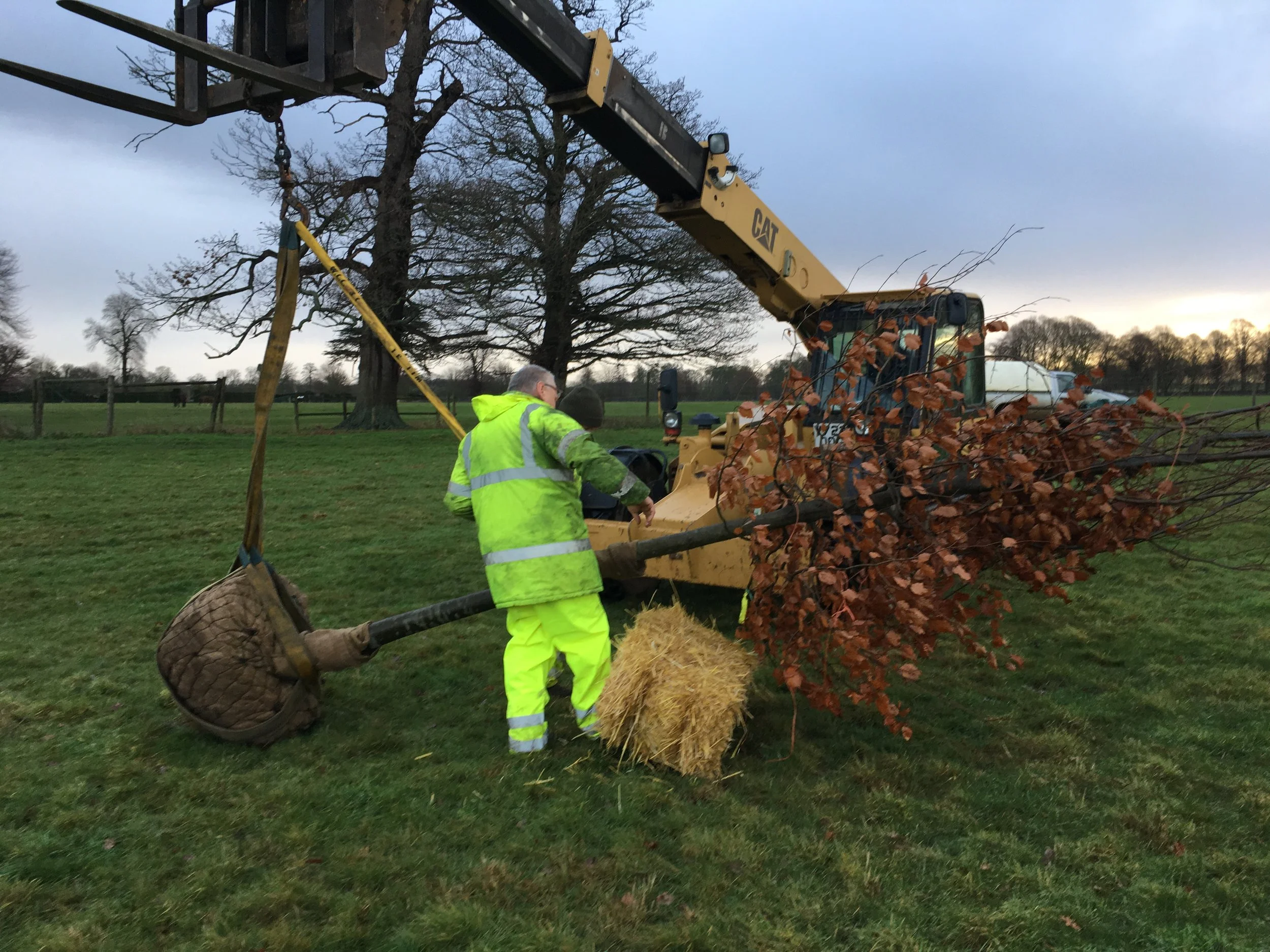 Woodlands & Forestry — Alscot - An Award-Winning Estate