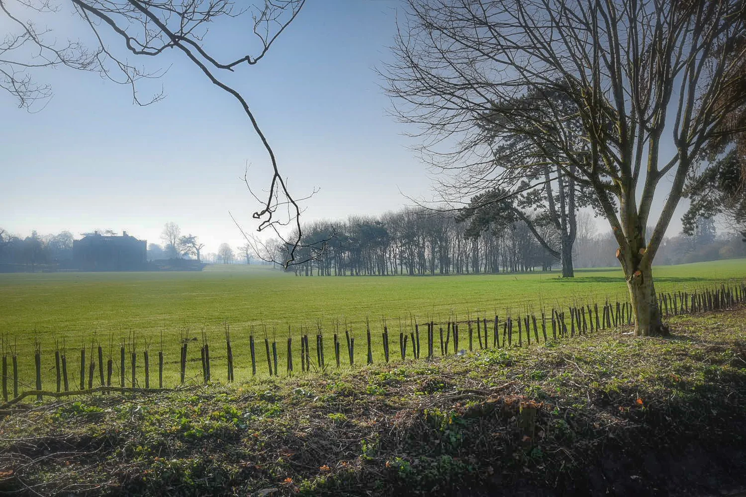 Woodlands & Forestry — Alscot - An Award-Winning Estate