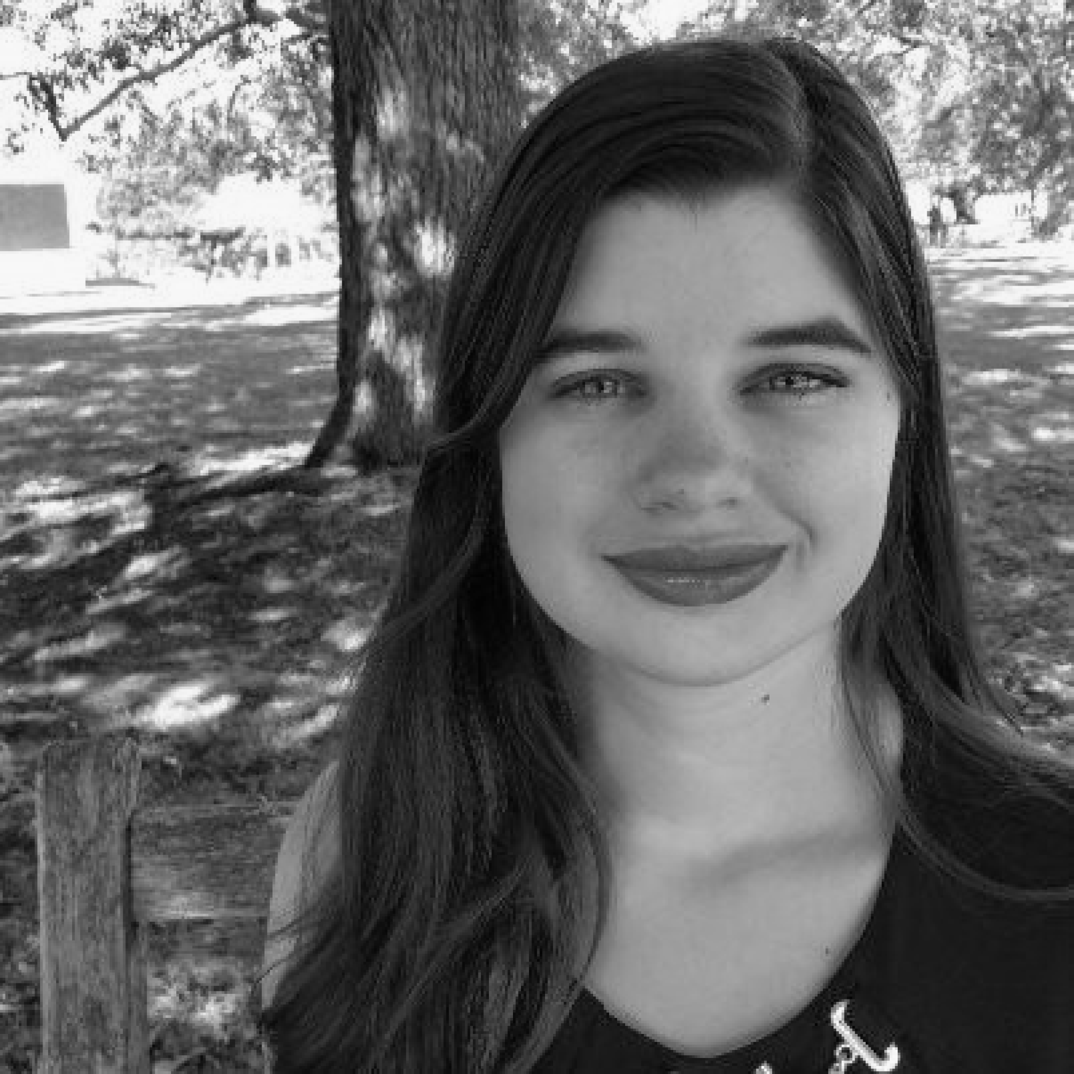 The Team — digital experiments