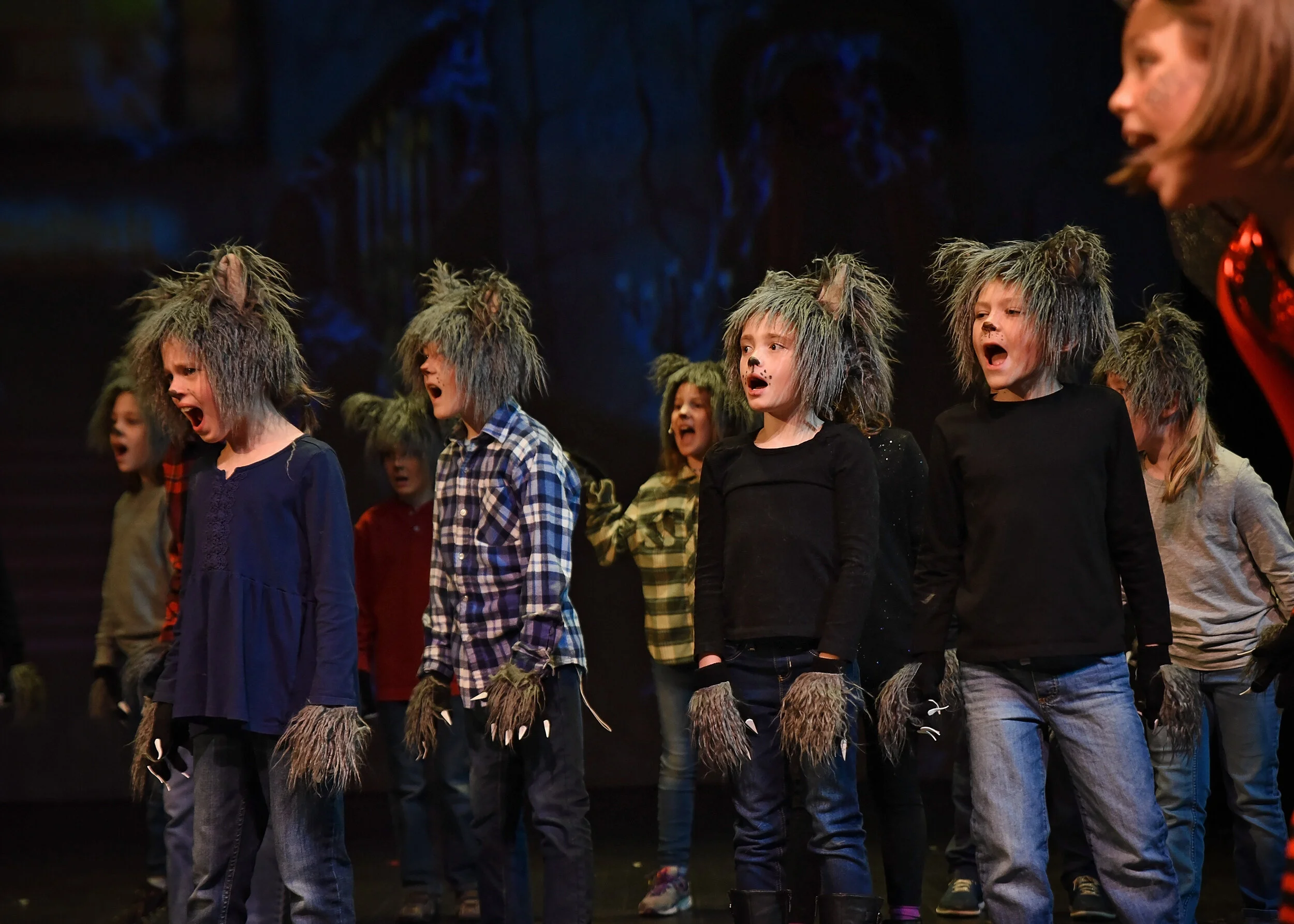 2019 We Are Monsters — Verona Area Community Theater