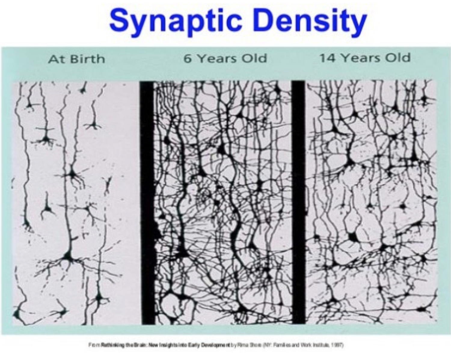 Harley Street Wellbeing Clinic