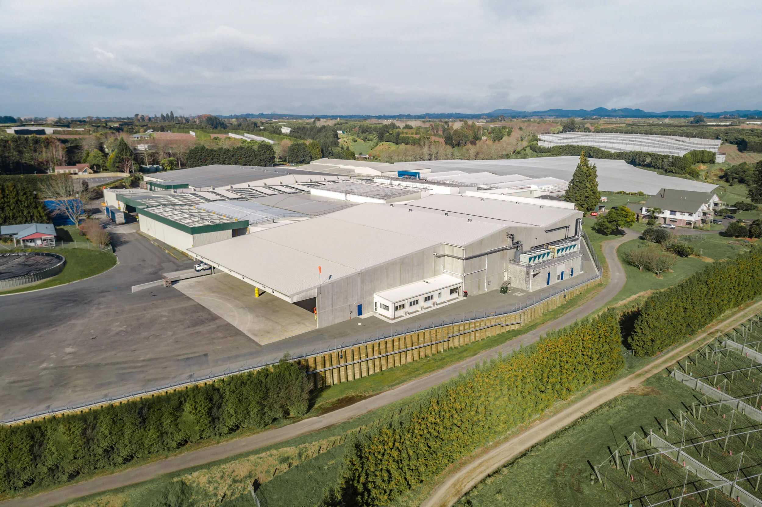Seeka Oakside | Stratum Consultants NZ