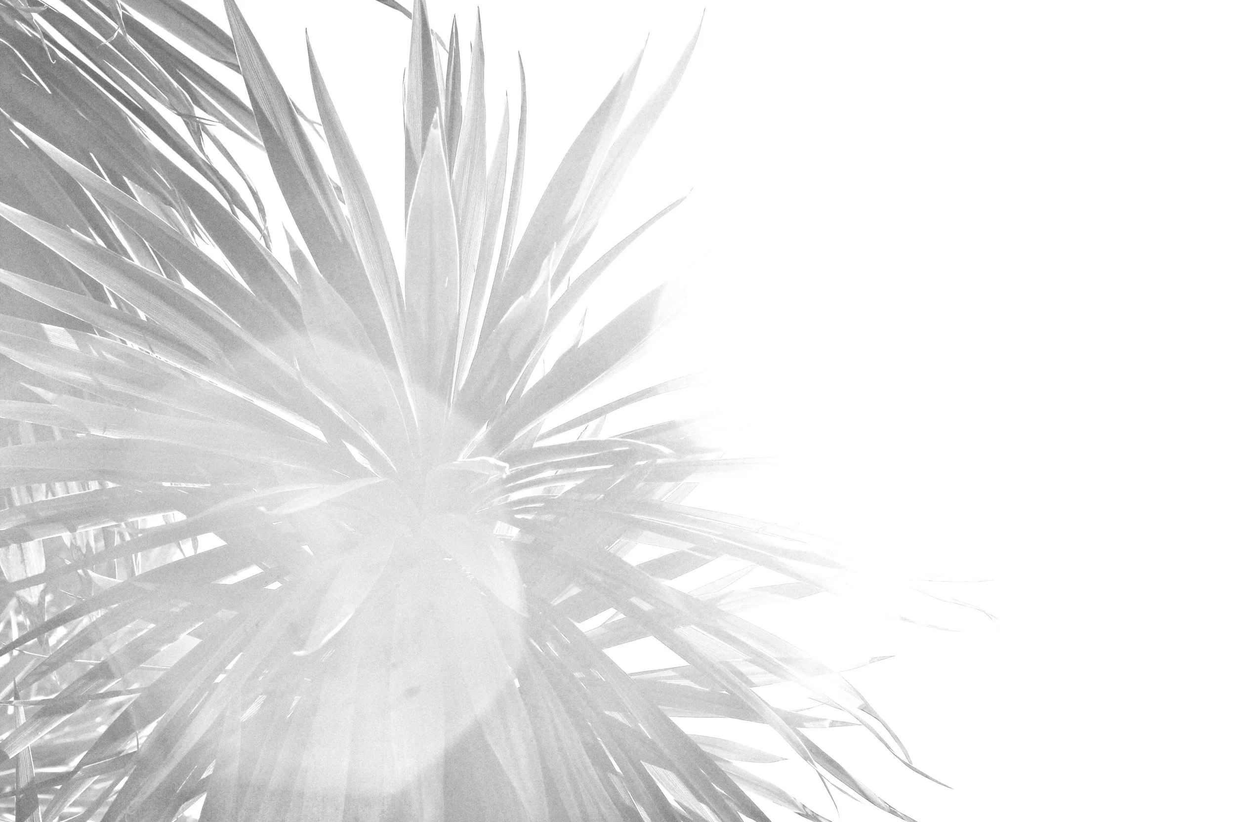 Lalah Delia Book — Vibrate Higher Daily