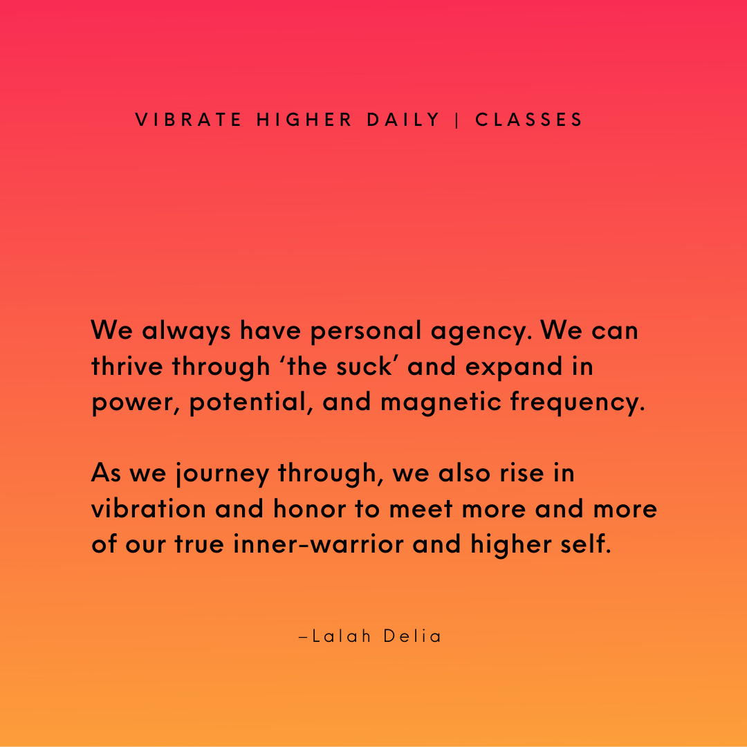 'Embracing the Suck' in The Liminal Space [Sign-Up] — Vibrate Higher Daily