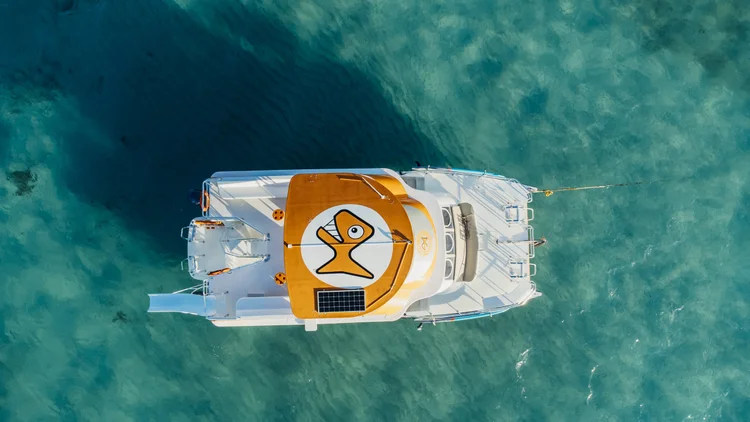 ABOUT — Happy Fish