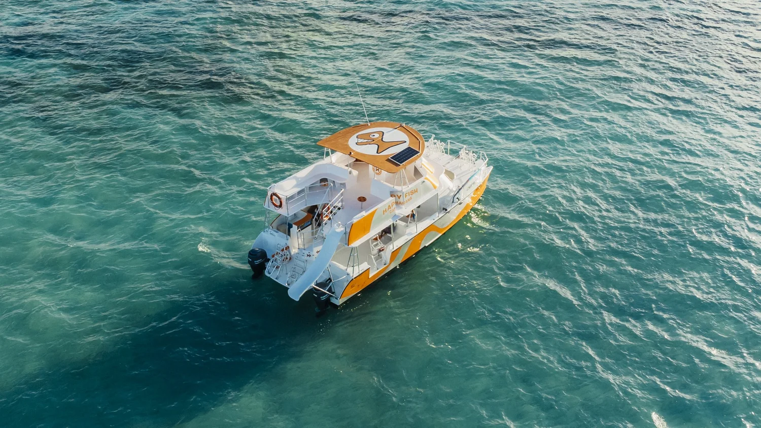 ABOUT — Happy Fish