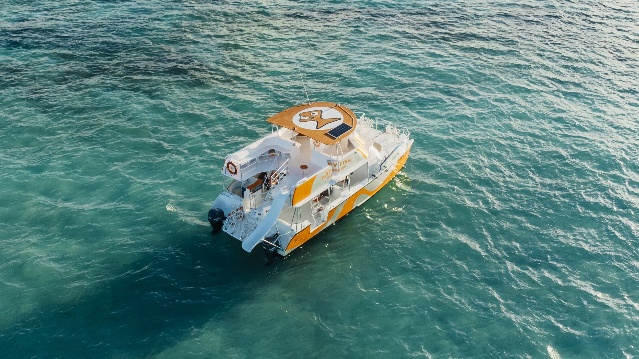 ABOUT — Happy Fish