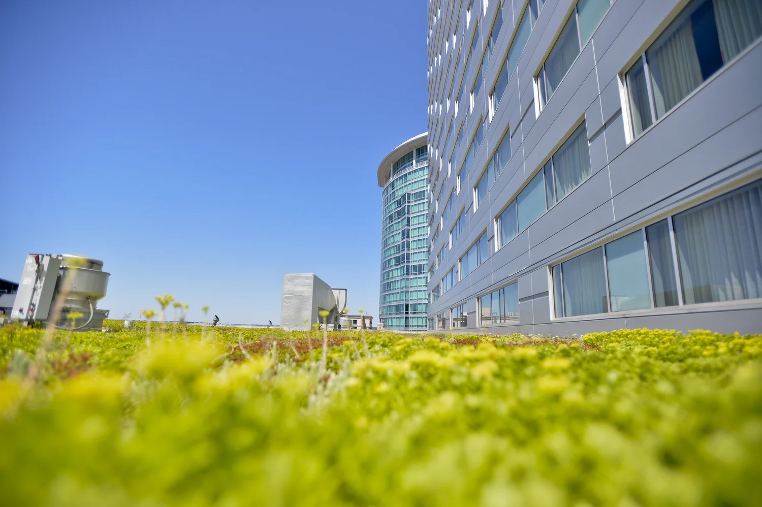 Rooflite® | Missouri Organic Recycling