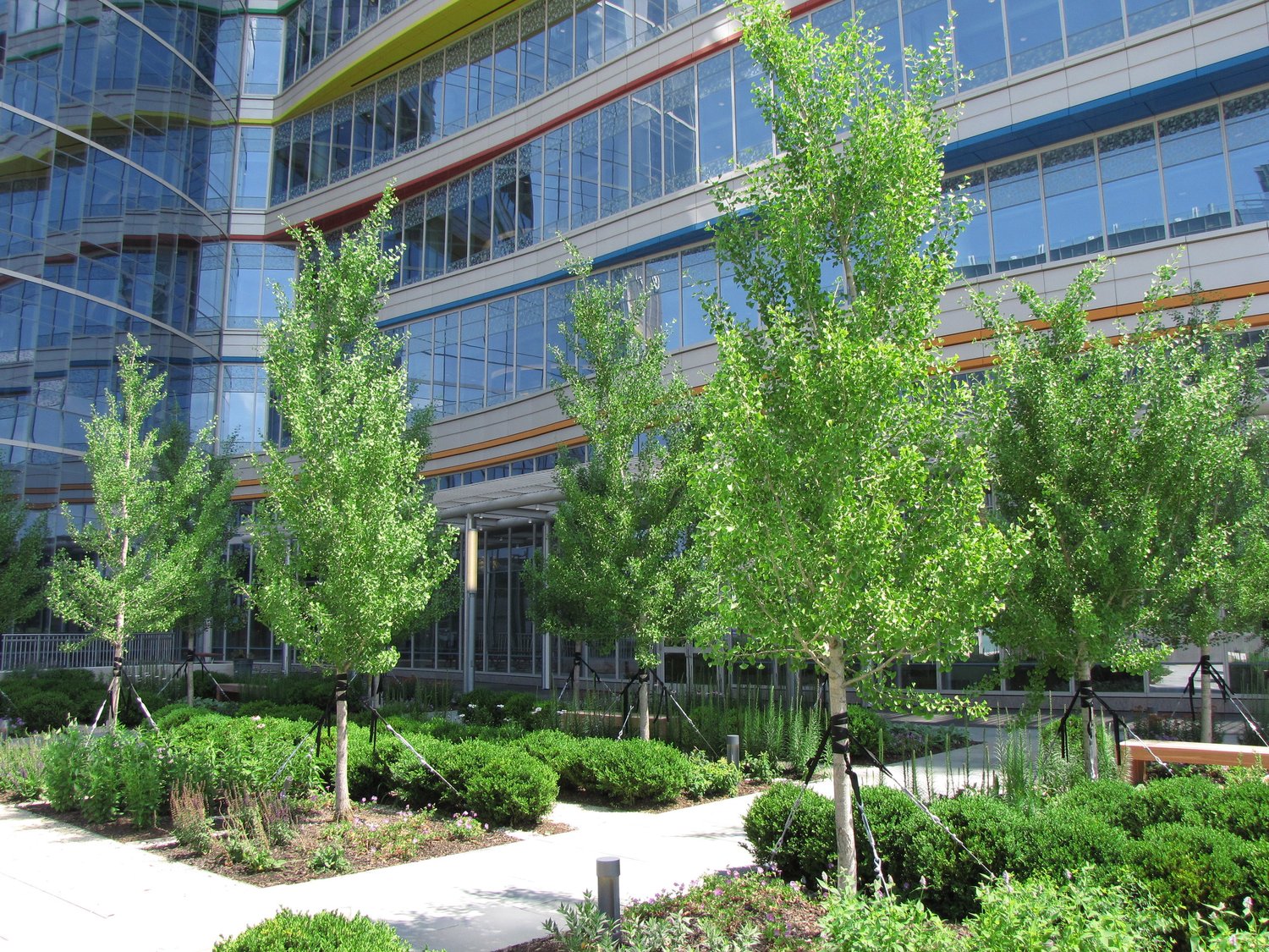 Rooflite® | Missouri Organic Recycling