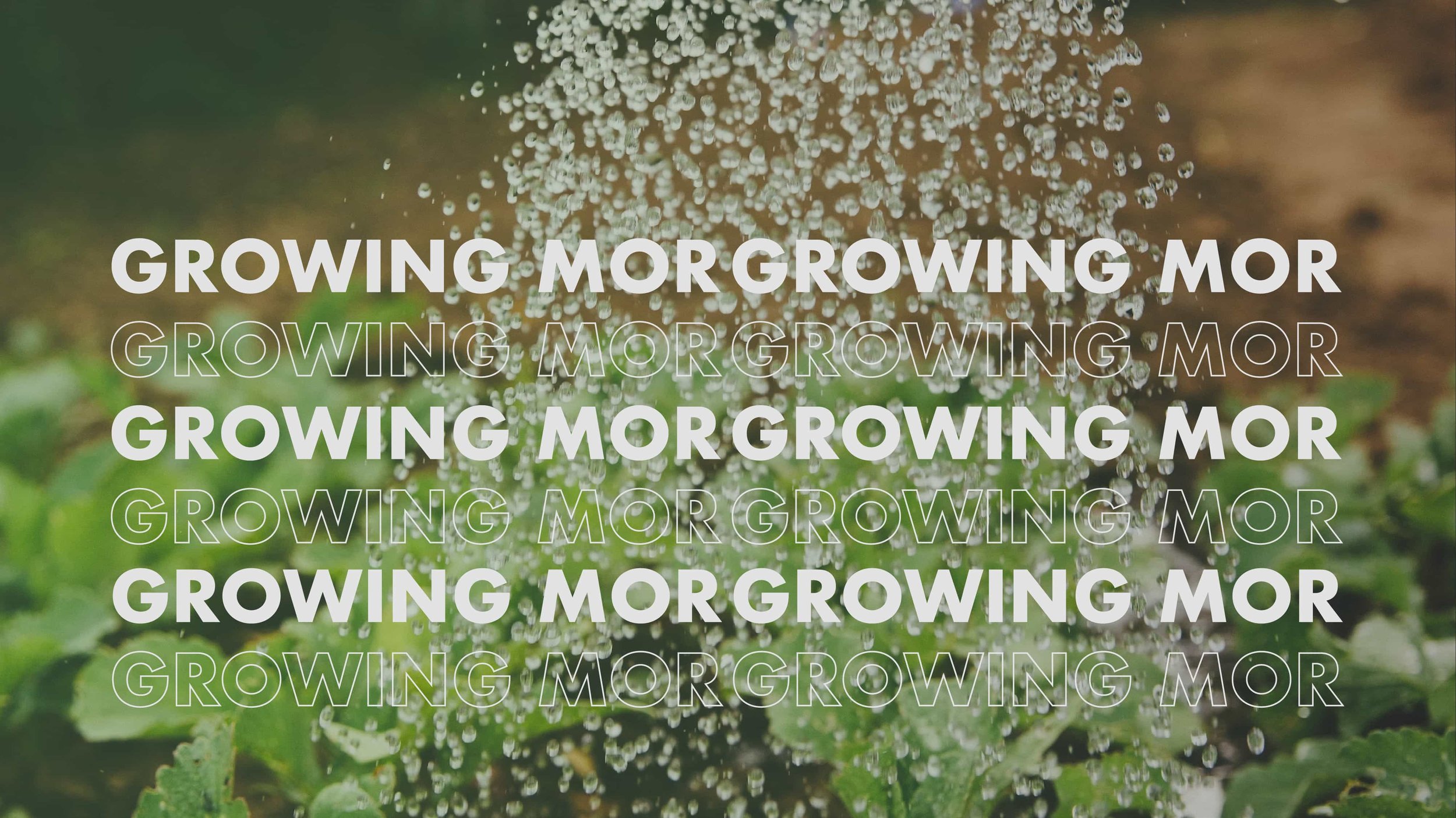 Growing MOR Amendments | Missouri Organic Recycling