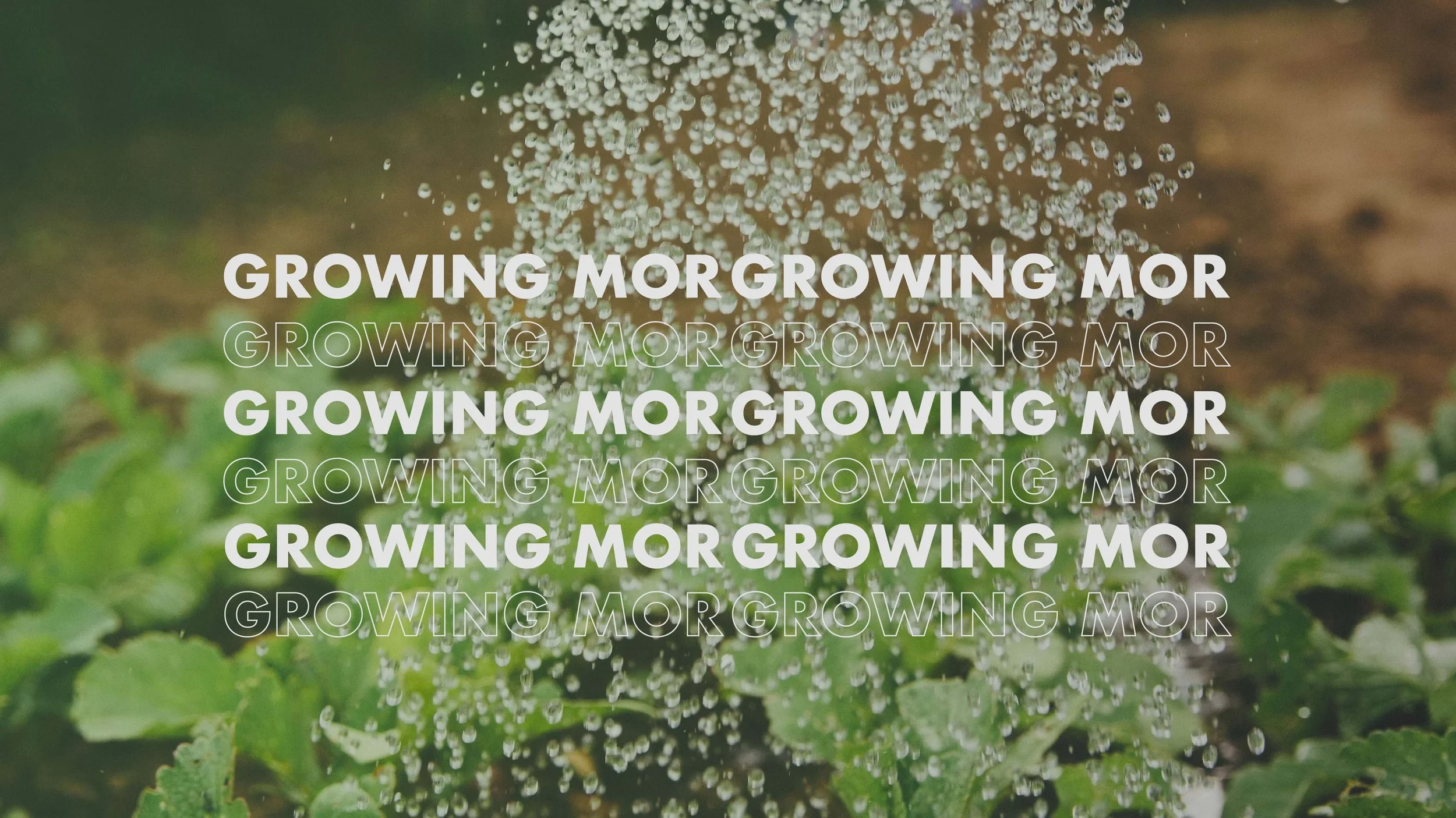 Growing MOR Amendments | Missouri Organic Recycling