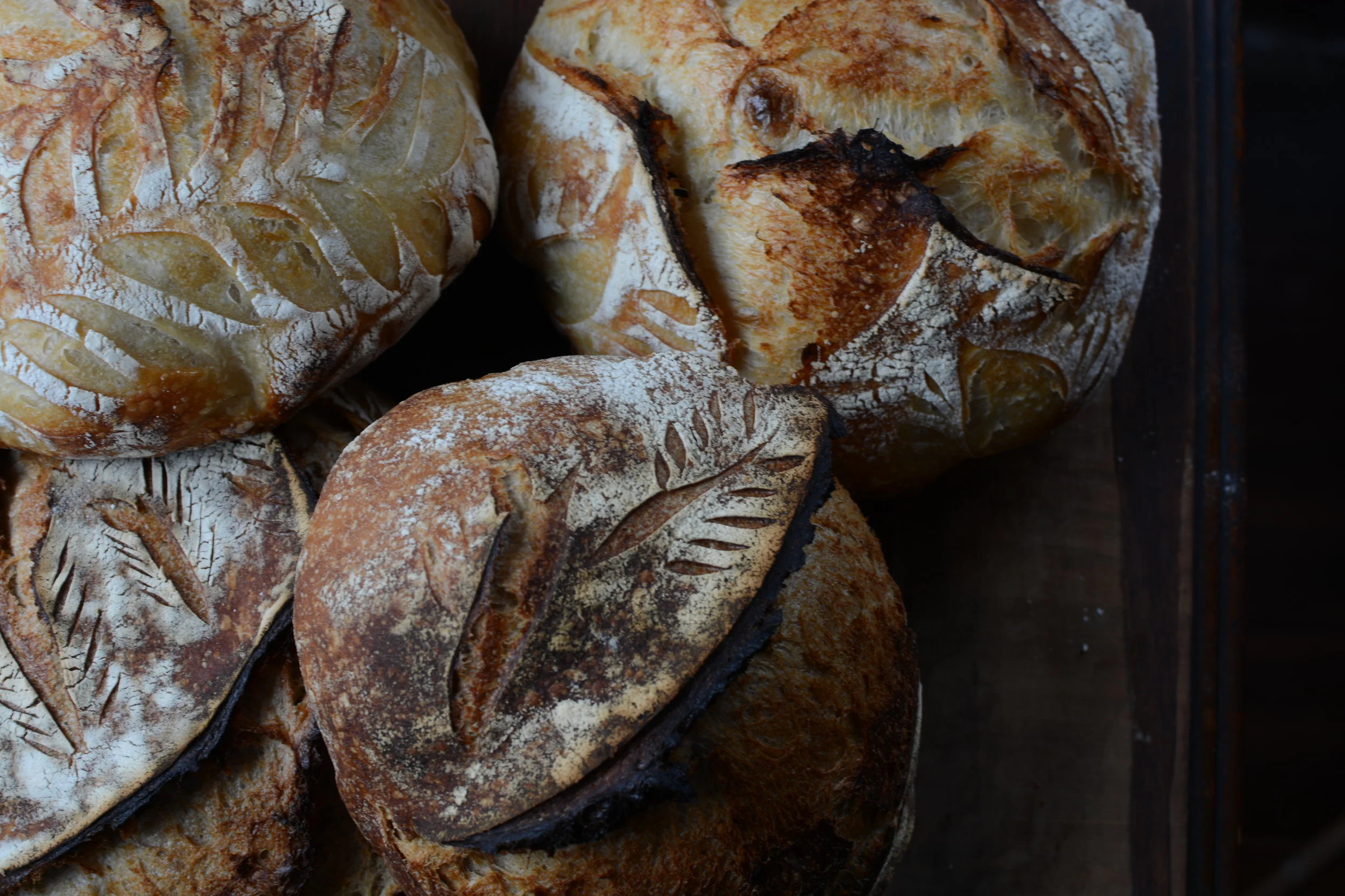 country boule — sugarhouse workshop