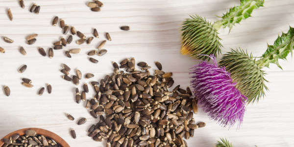 Ultimate guide to using herbs for vaginal steaming