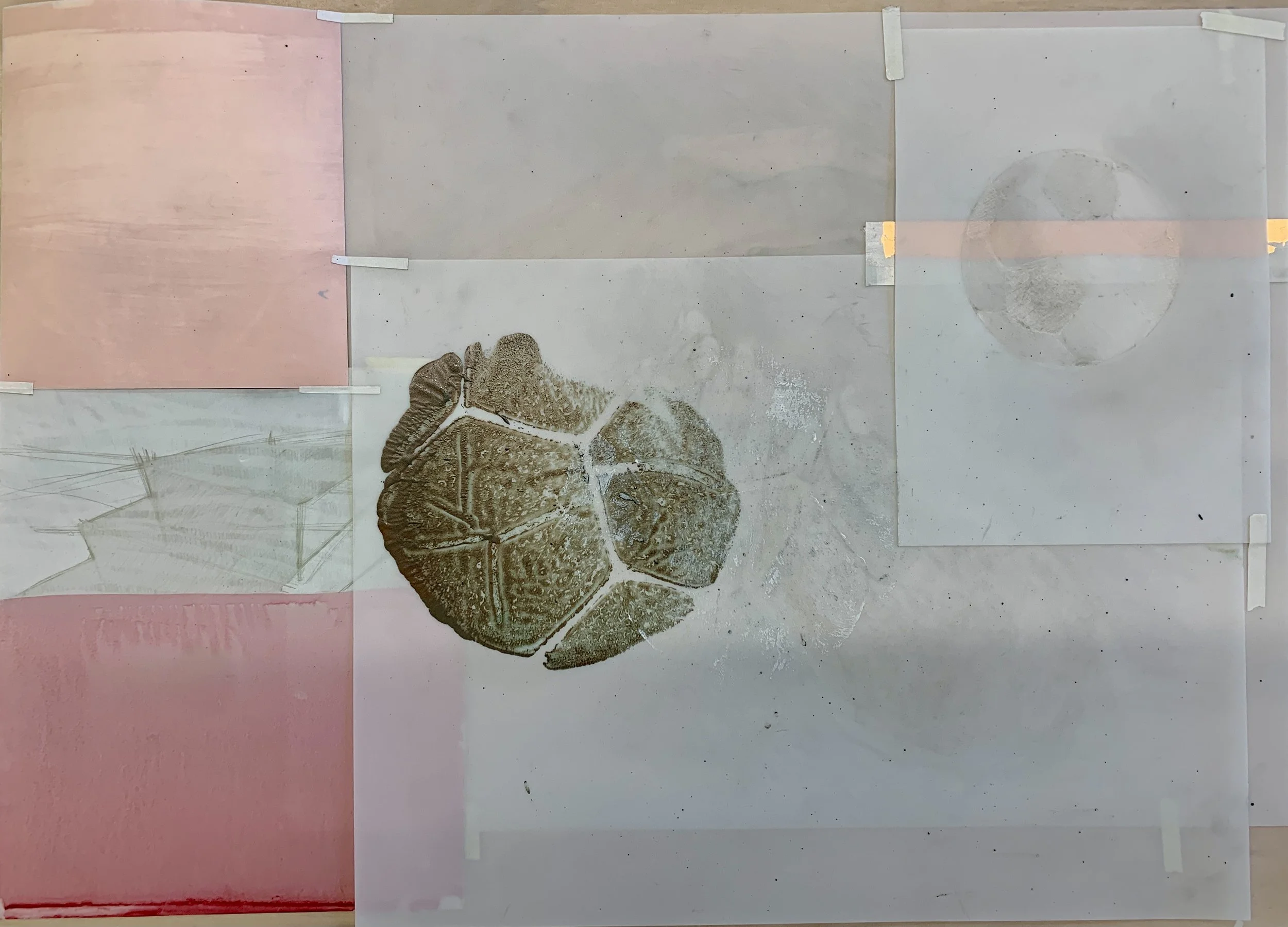 Daniela Rivera Visual Artist