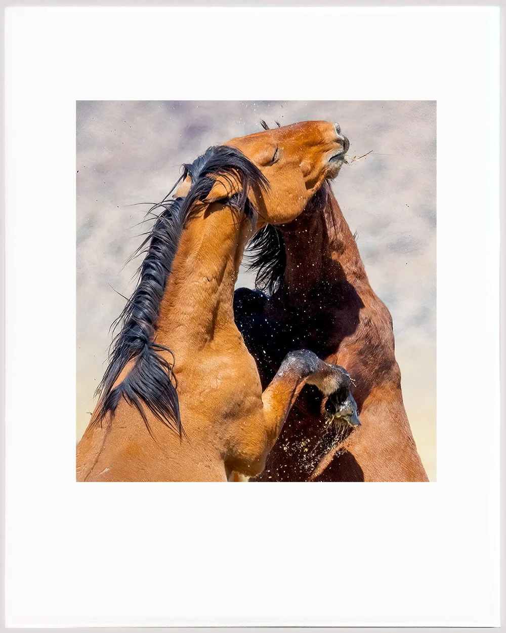 Featured Print November 2022 — Stephen Johnson Photography