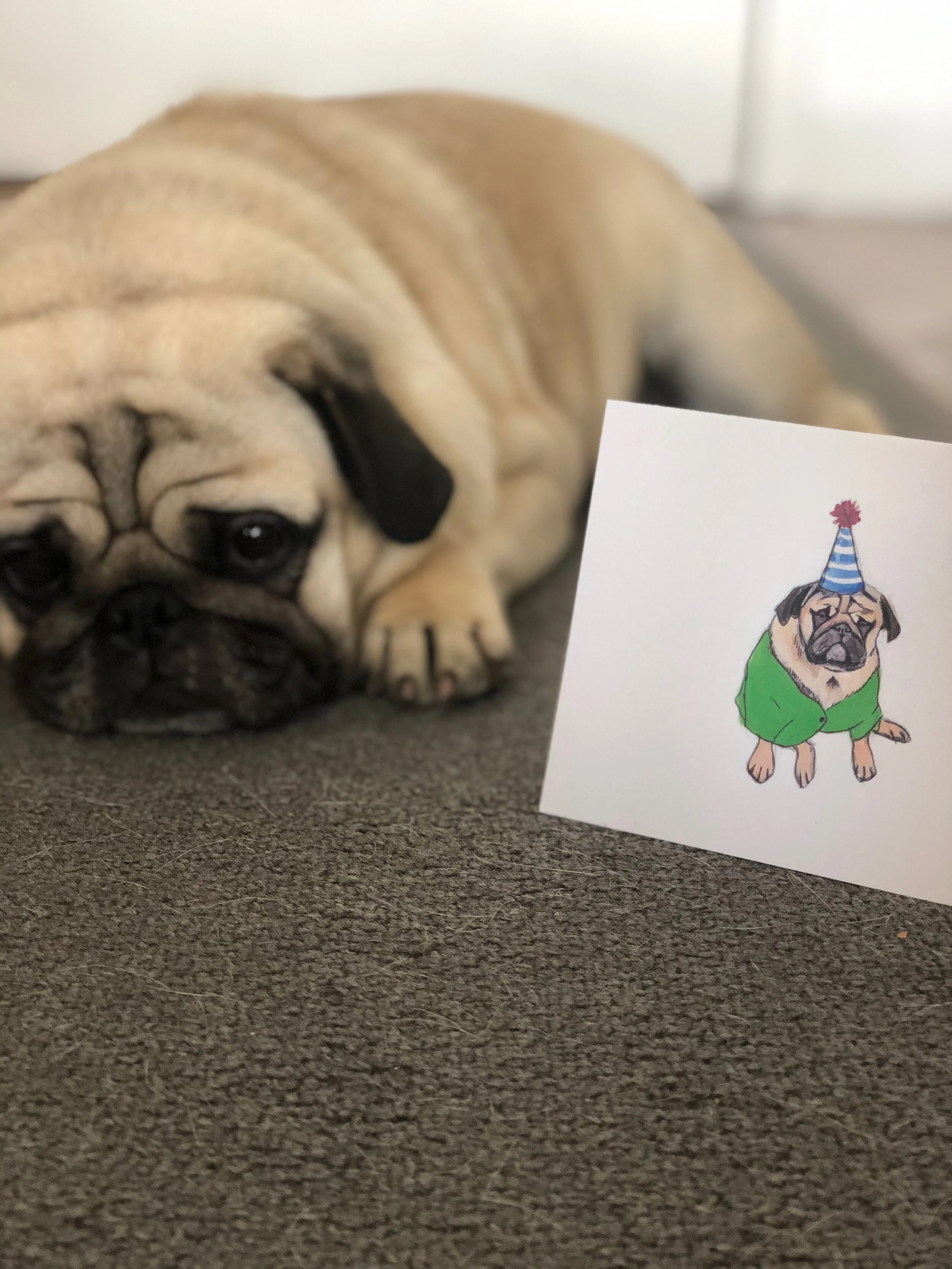 Birthday Butters card! (he's thrilled) — CarrieDraws