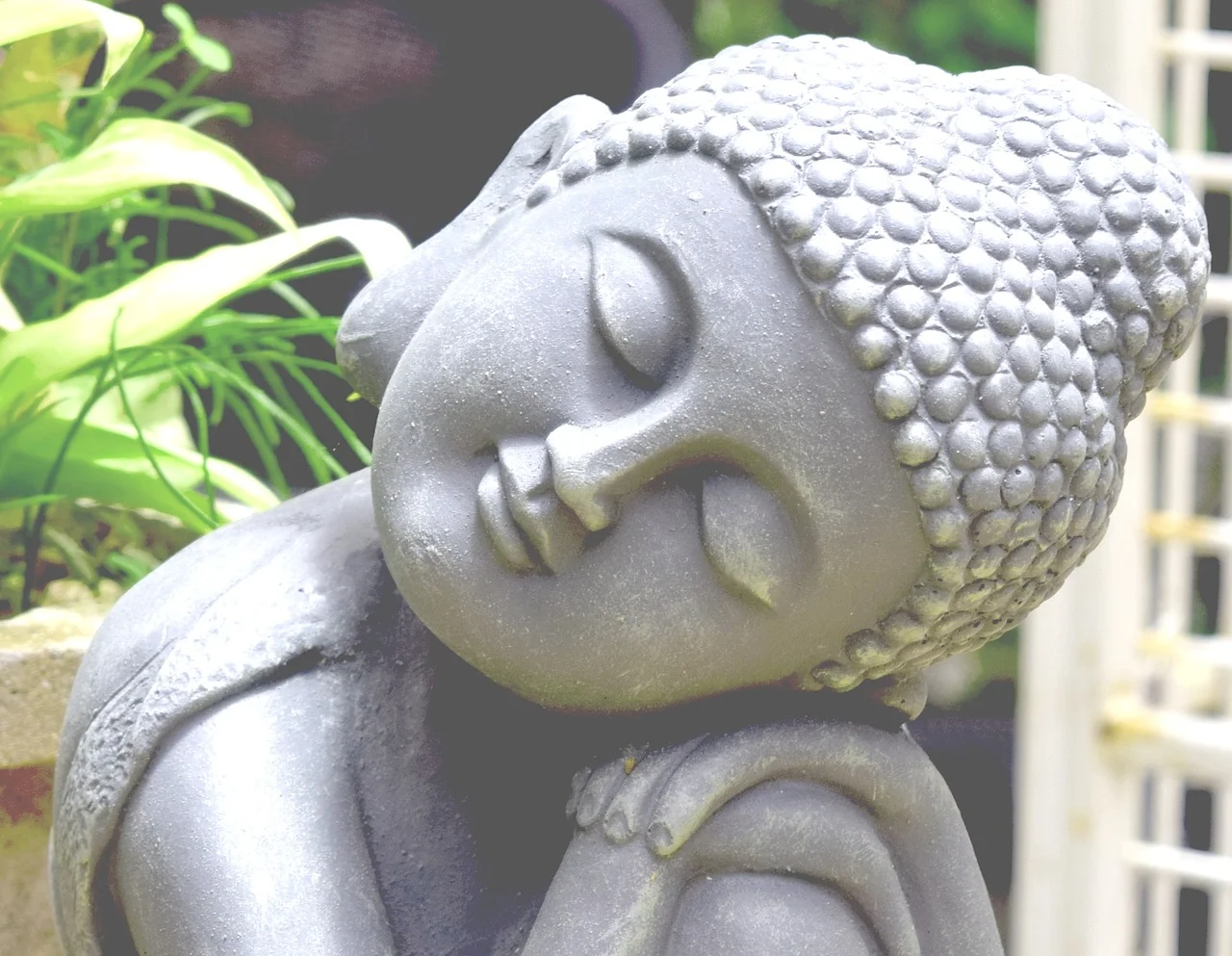 Finding Zen In Everyday Life — A BRIGHTER WILD- Mindbody Coaching+ Reiki