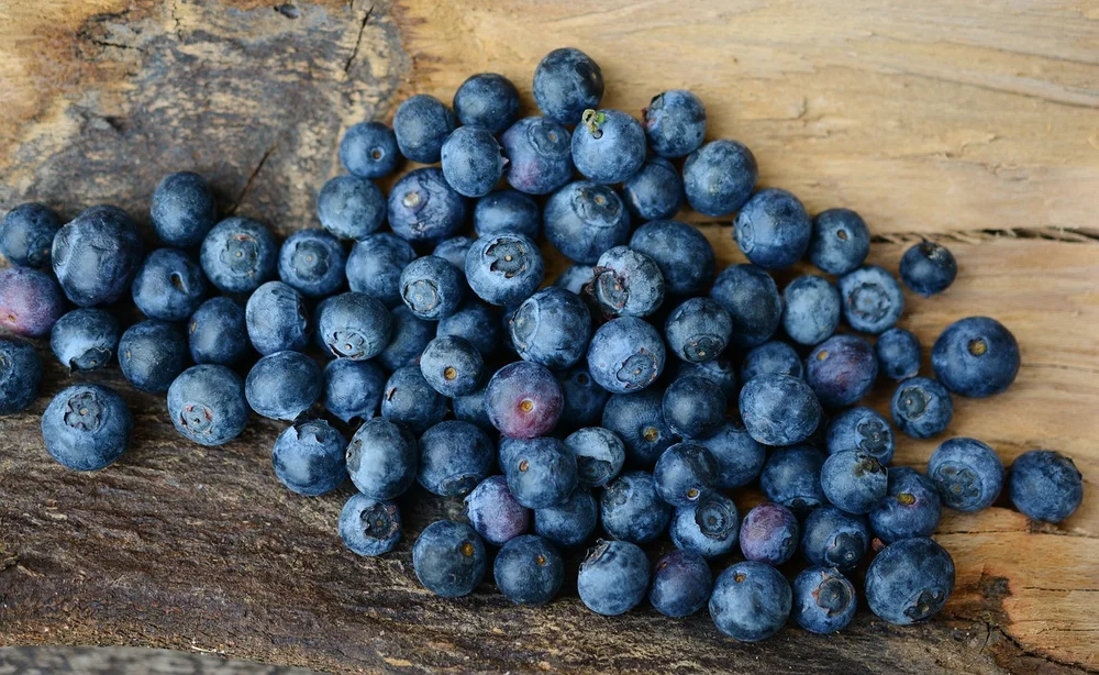 Do You Have Fruit Fear? — A BRIGHTER WILD- Mindbody Coaching+ Reiki