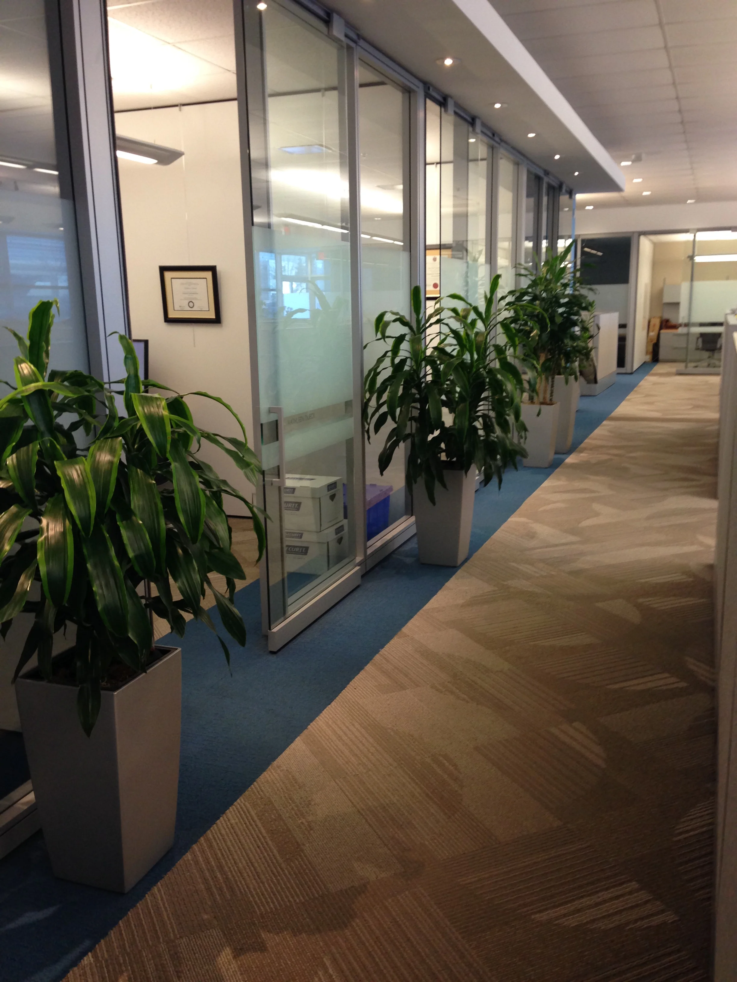 #plantsatwork | Corporate Design with Plants — Plantpros Inc.