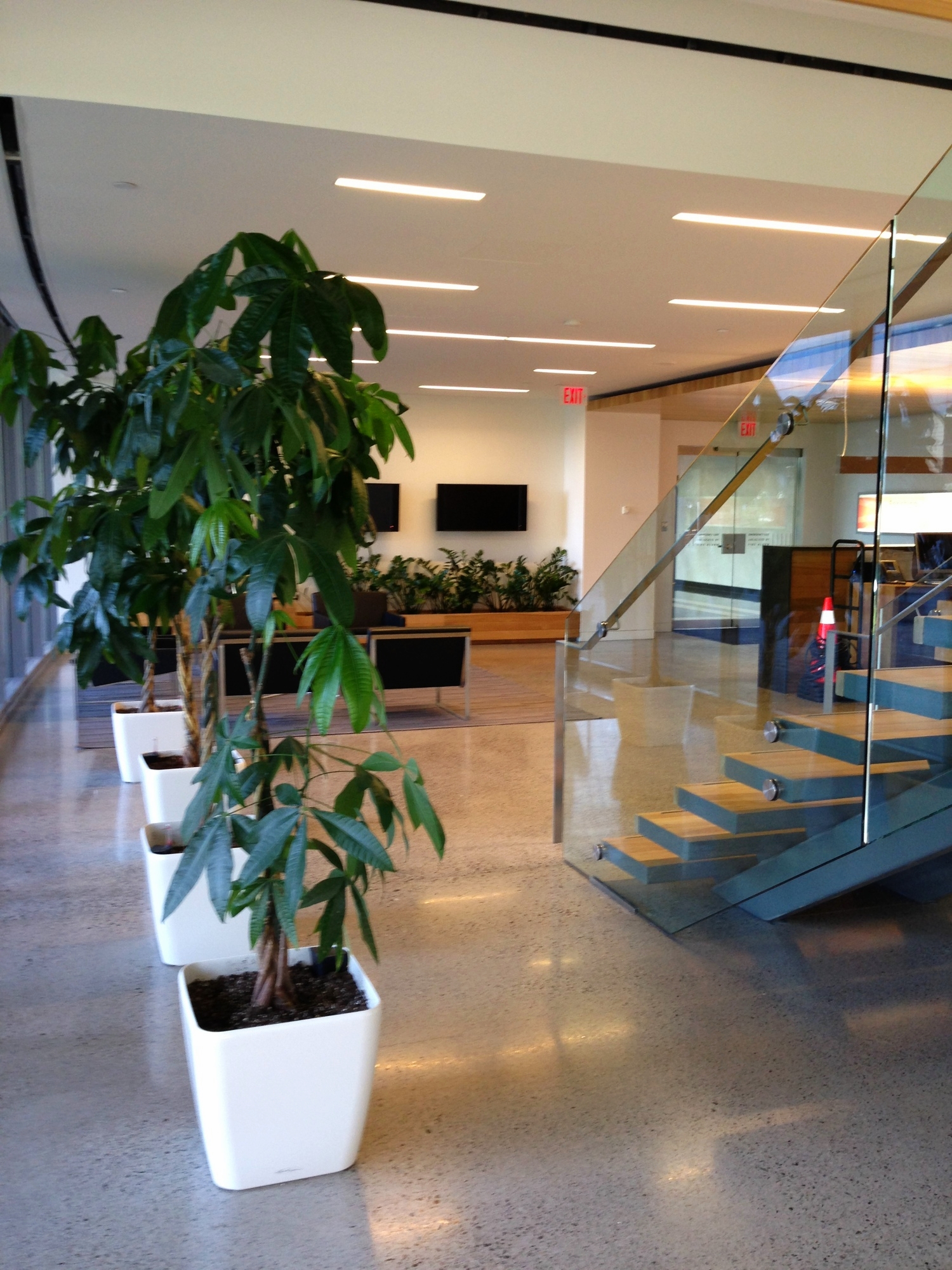 #plantsatwork | Corporate Design with Plants — Plantpros Inc.