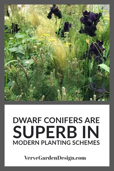 12 Garden Border Planting Design Trends to Take Home From Chelsea 2018 ...