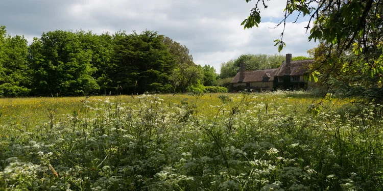 The 7 Best English Gardens To Visit For Meadow-Style Planting — Verve ...